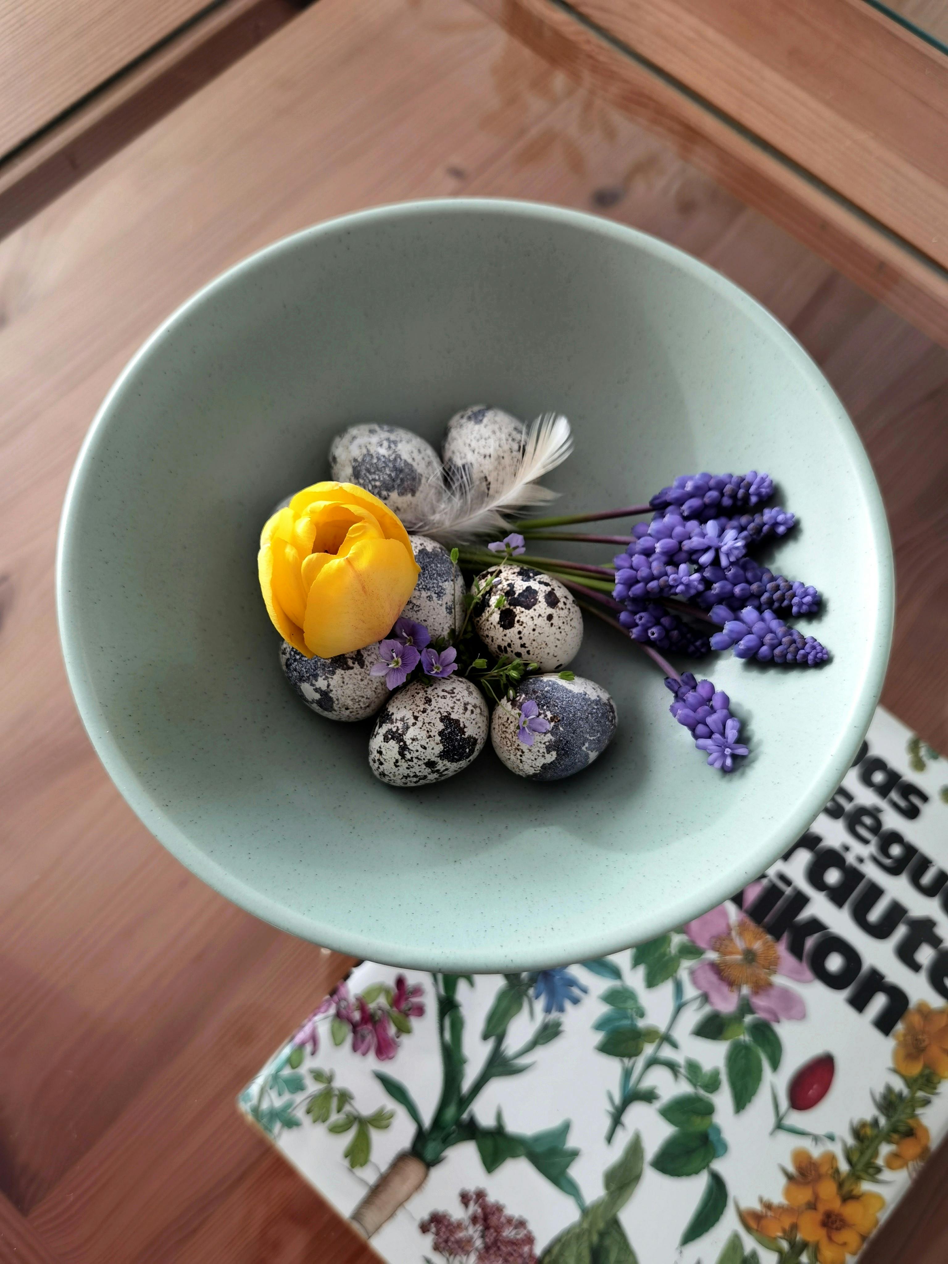 Bright Spring Dish with Quail Eggs and Flowers · Free Stock Photo