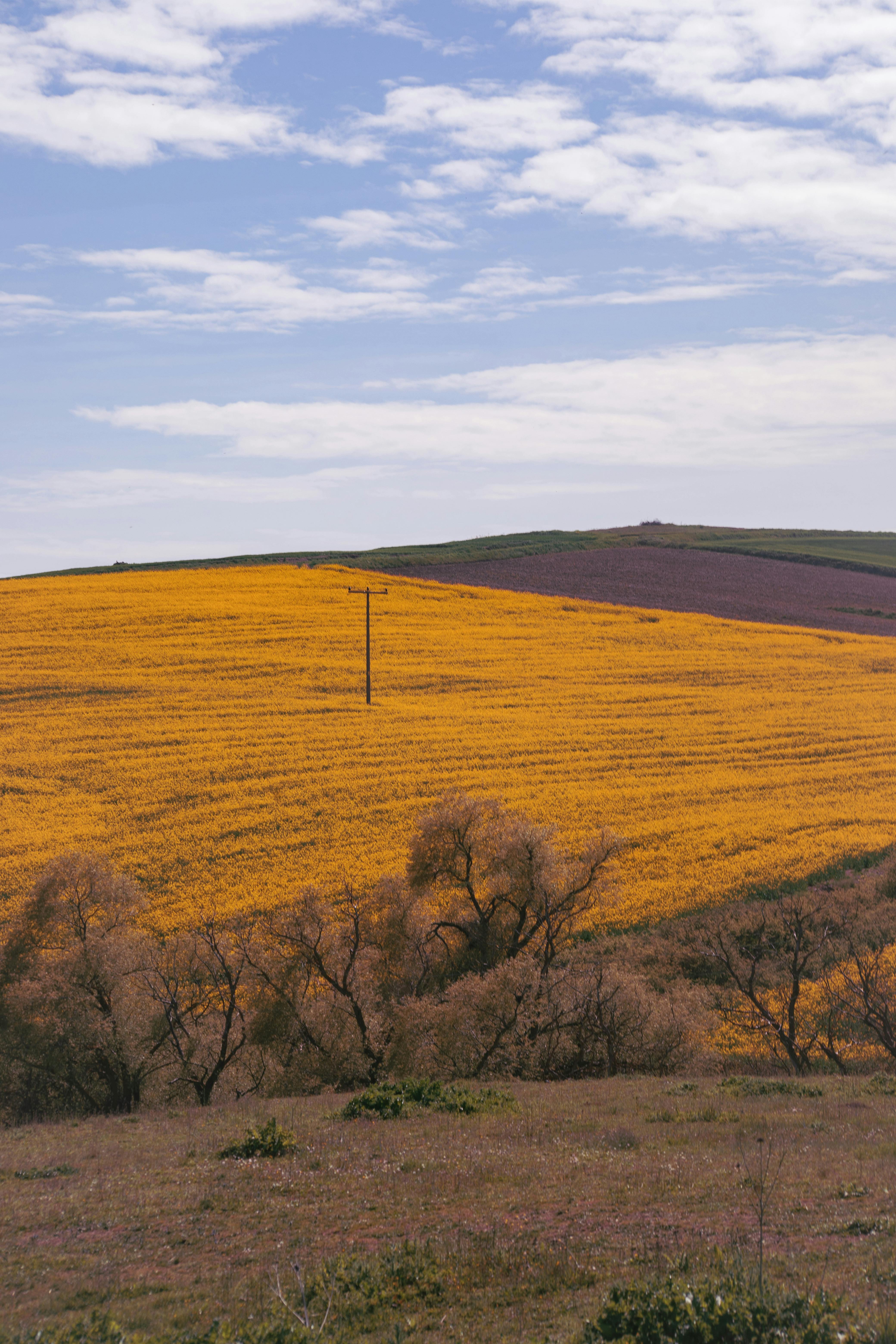 Foto de stock gratuita sobre ¡sobre las nubes!, acogedora primavera ...