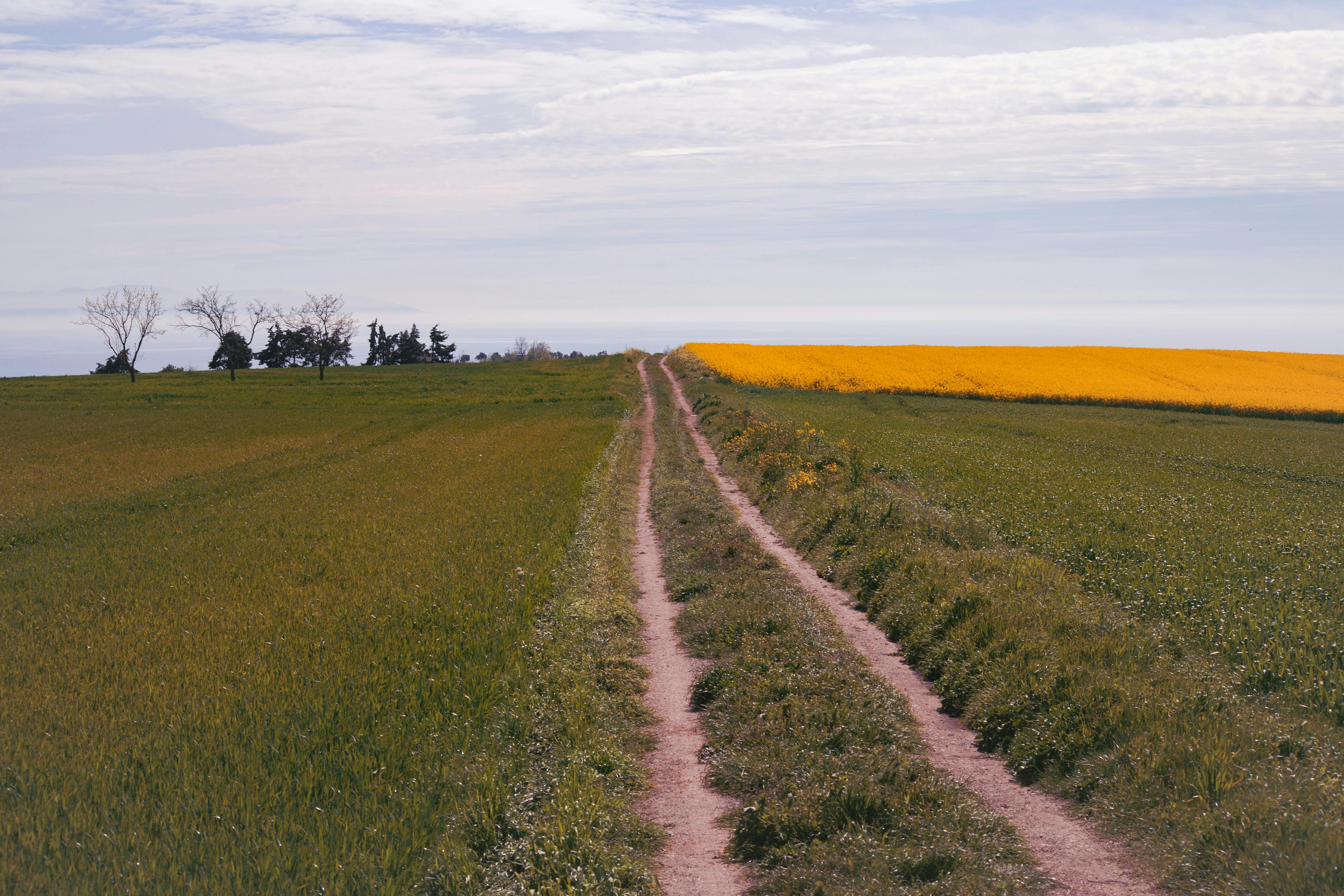 Yellow Spring Road Photos, Download The BEST Free Yellow Spring Road ...