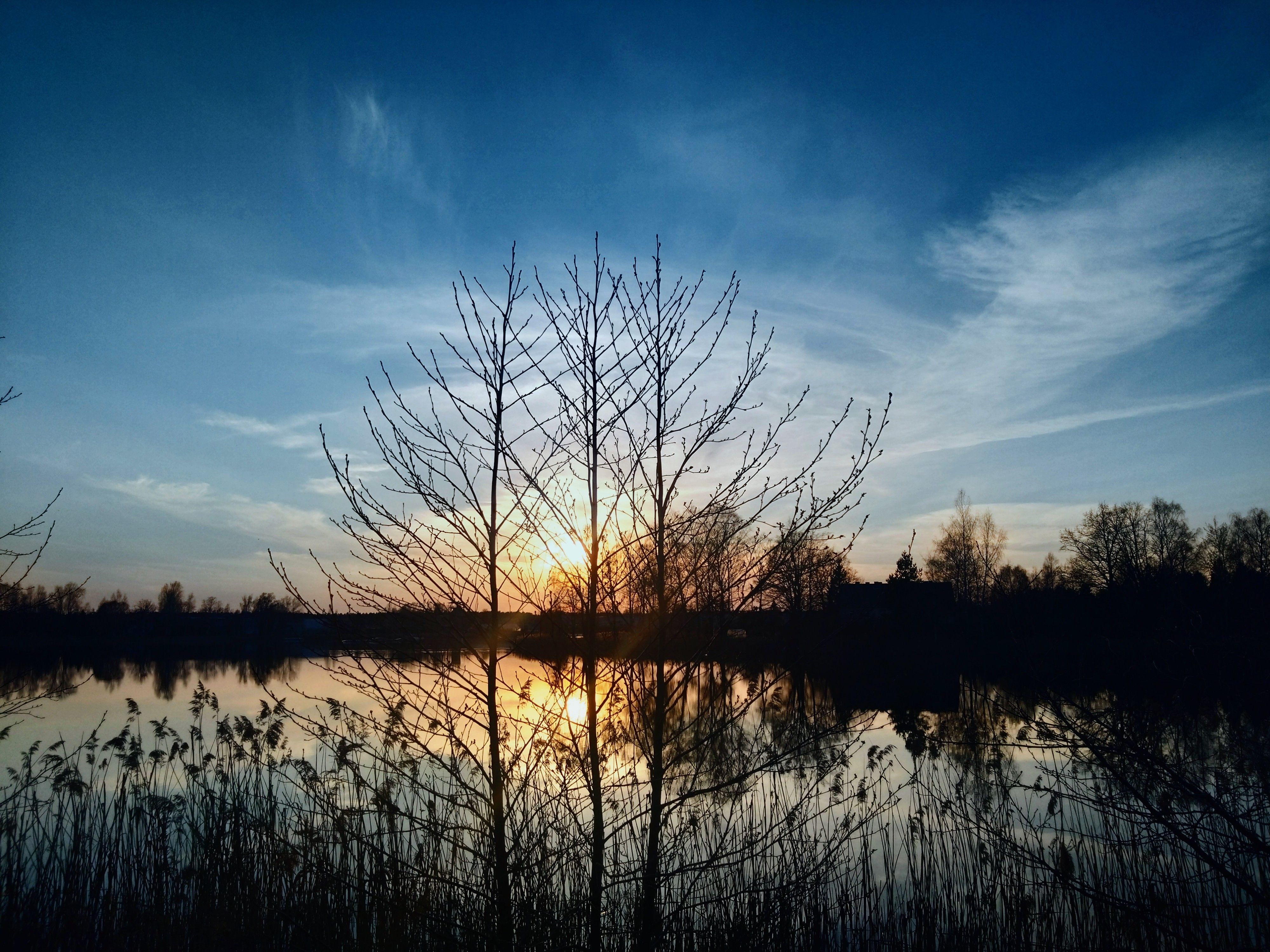 Spring Water Nature Photos, Download The BEST Free Spring Water Nature ...