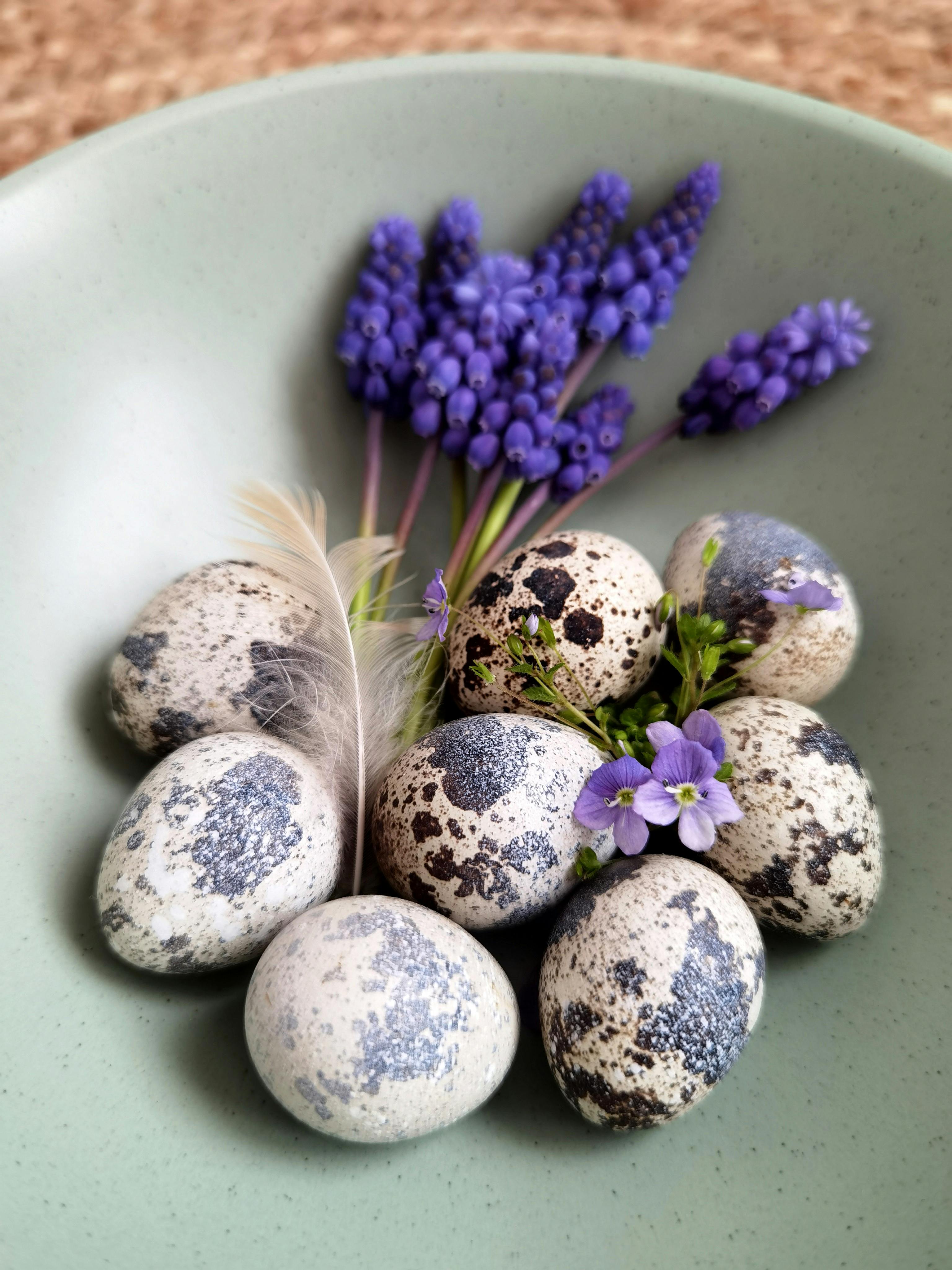 Quail Eggs and Purple Flowers in Pastel Green Bowl · Free Stock Photo