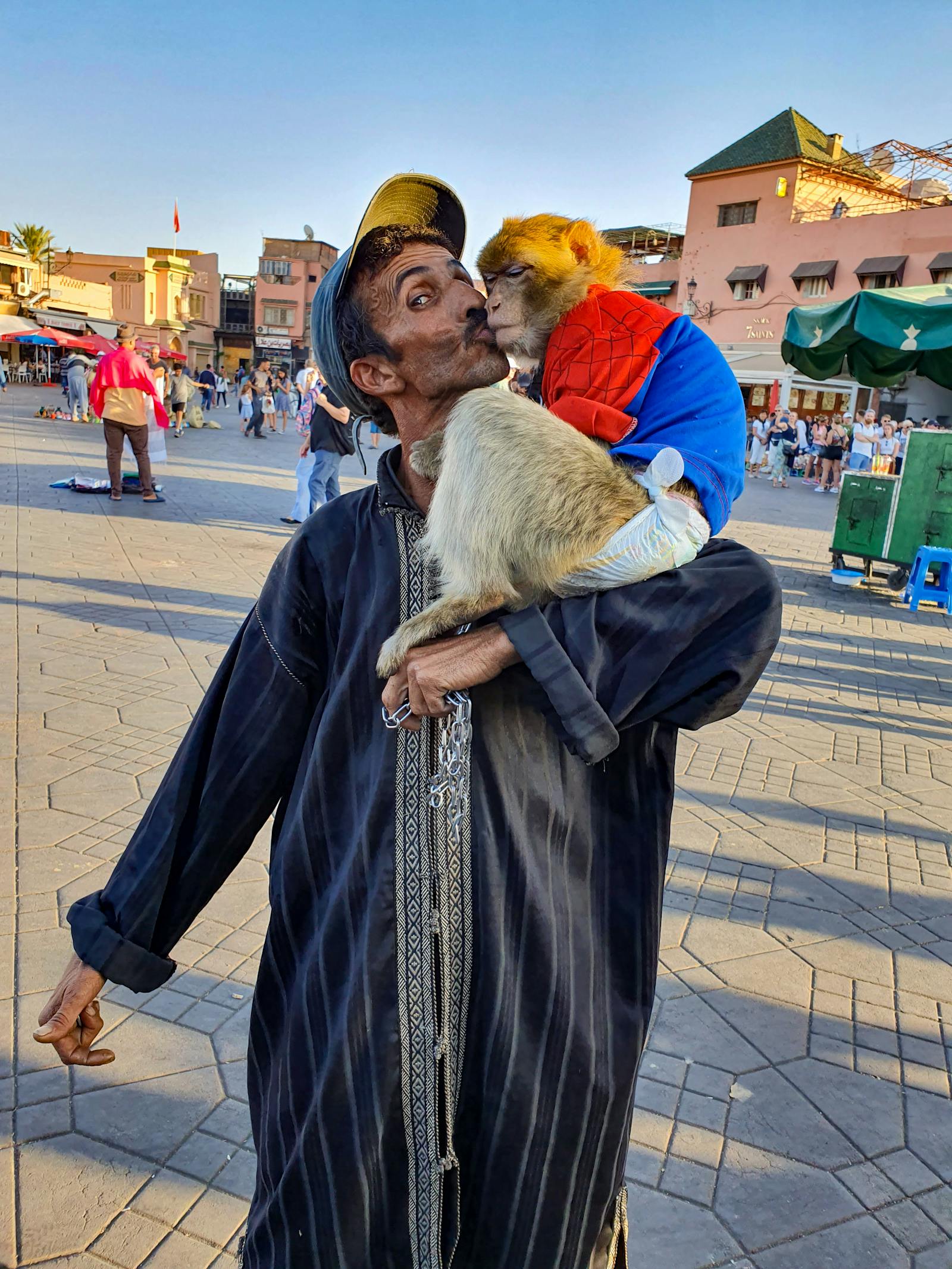 Middle Finger Monkey Photos, Download The BEST Free Middle Finger ...