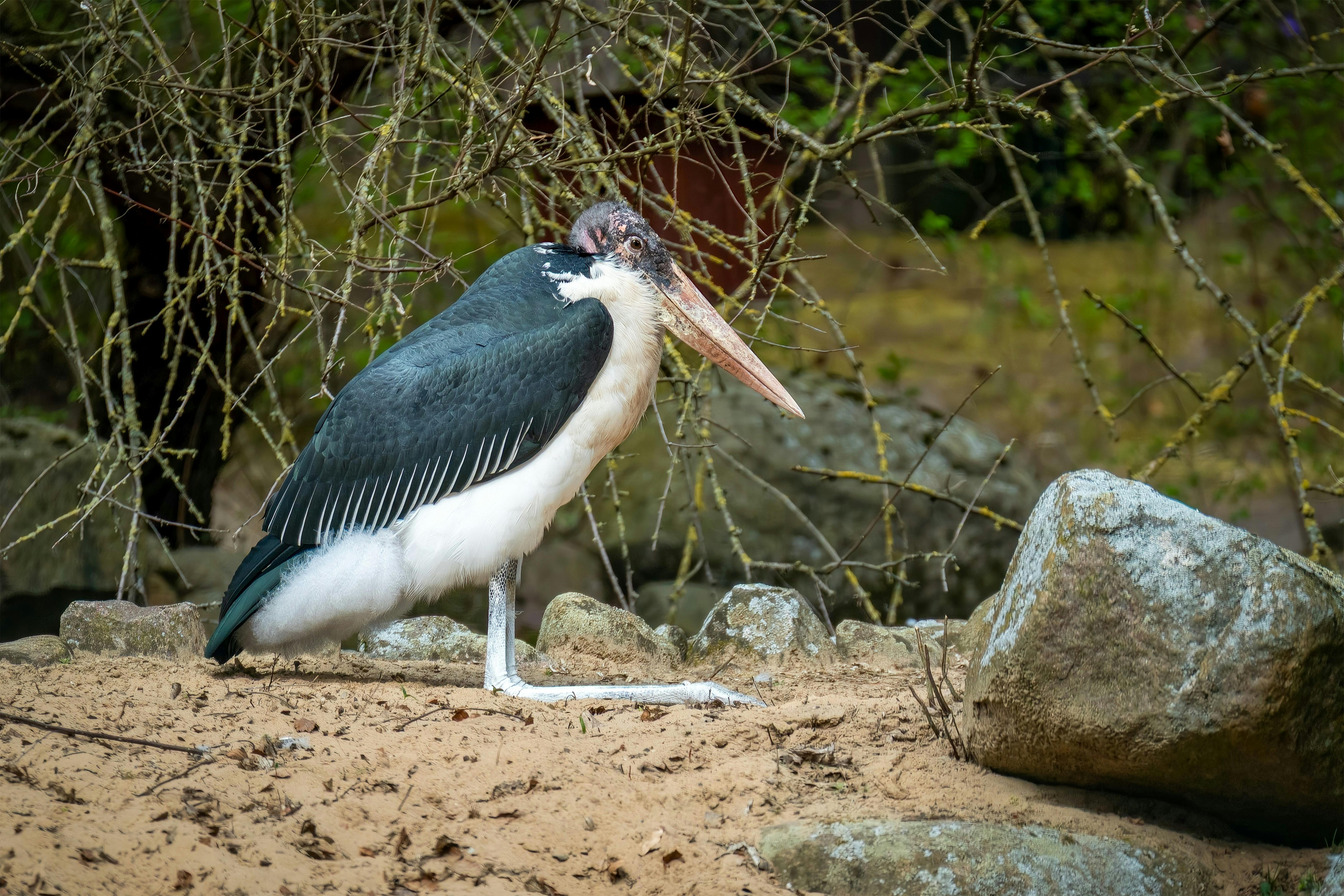 100+ Sidelineปากเกร็ด+แตกปาก Bilder und Fotos · Kostenlos Downloaden ...