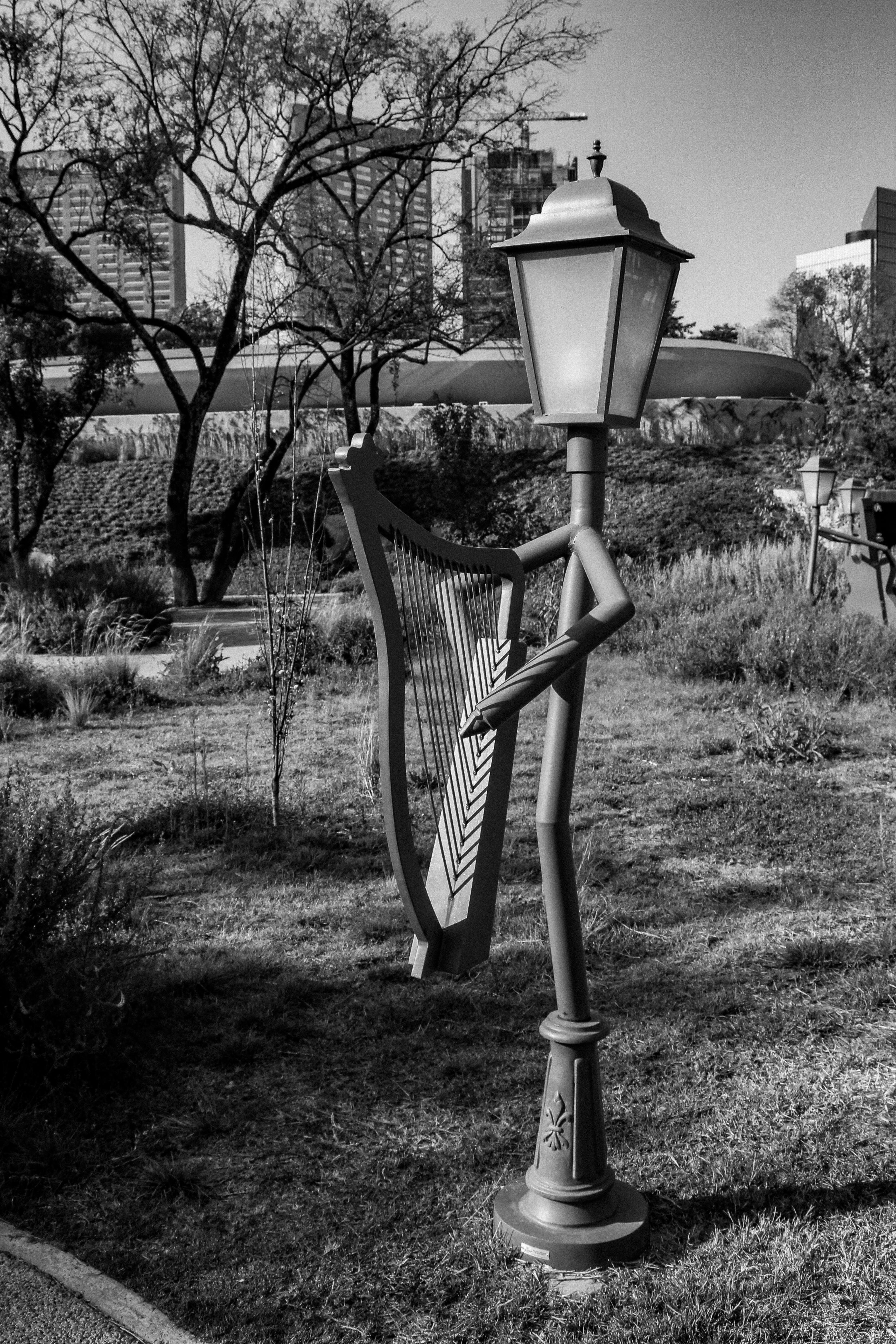 Street Lamp with Harp in Urban Garden Setting · Free Stock Photo
