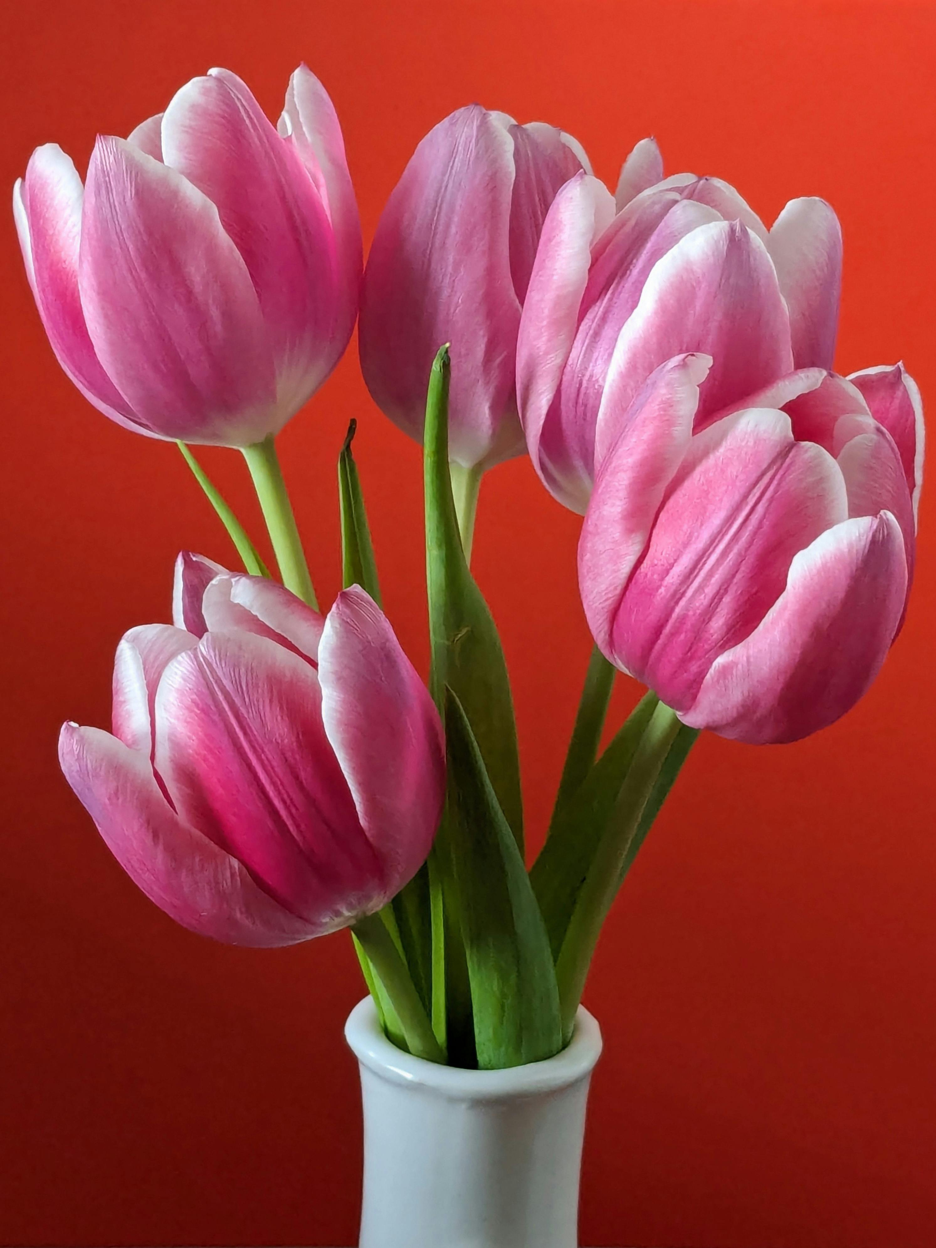 Basic Fourmula Photos, Download The BEST Free Basic Fourmula Stock ...