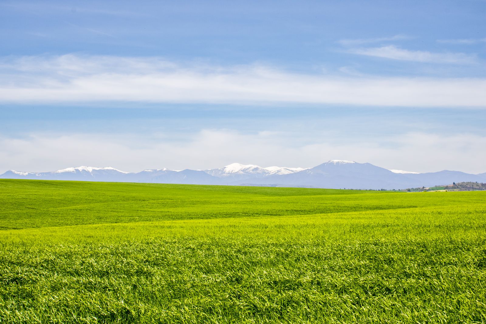 Green Land Photos, Download The BEST Free Green Land Stock Photos & HD ...