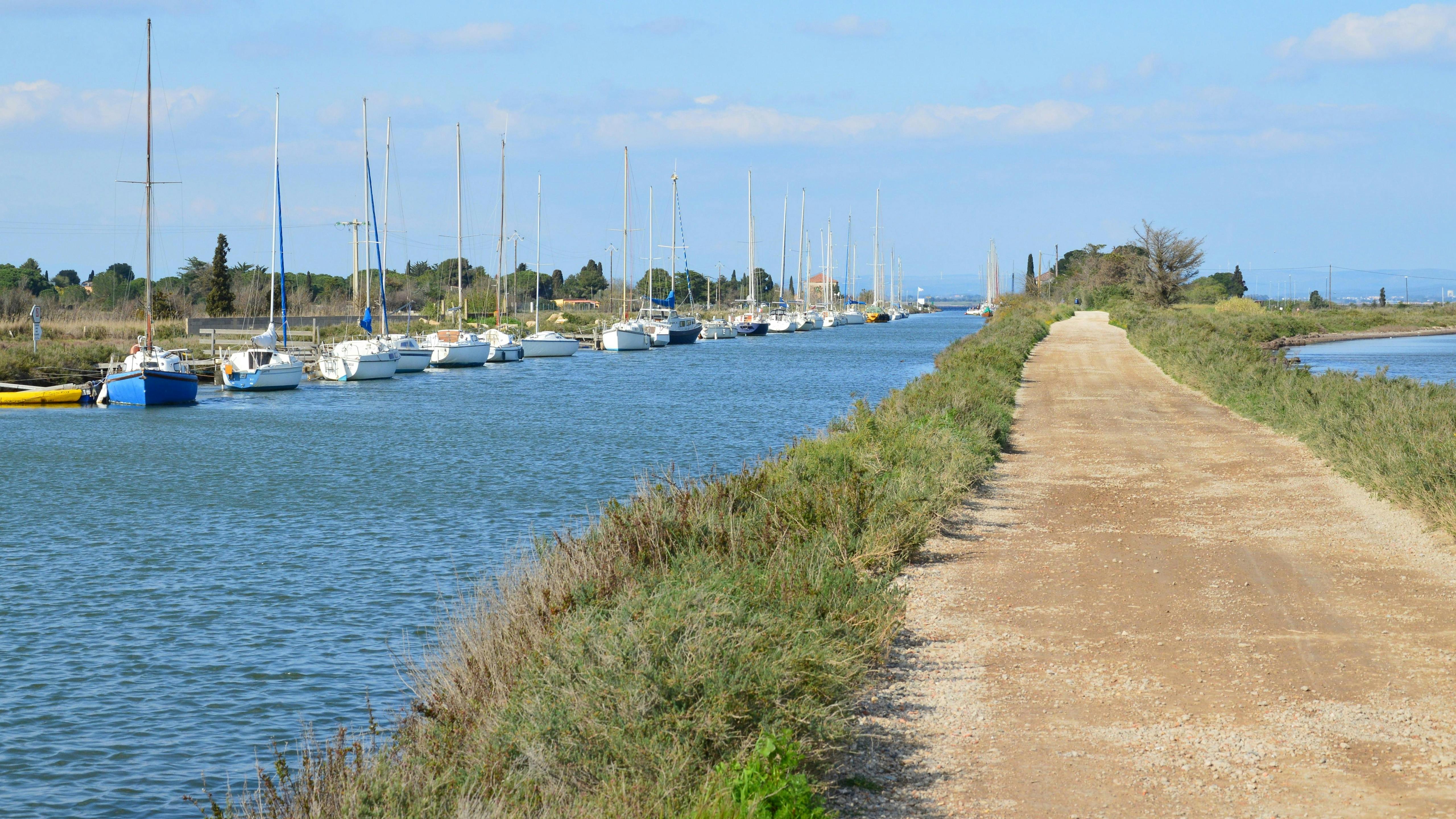 Rustic Reeds Photos, Download The BEST Free Rustic Reeds Stock Photos ...