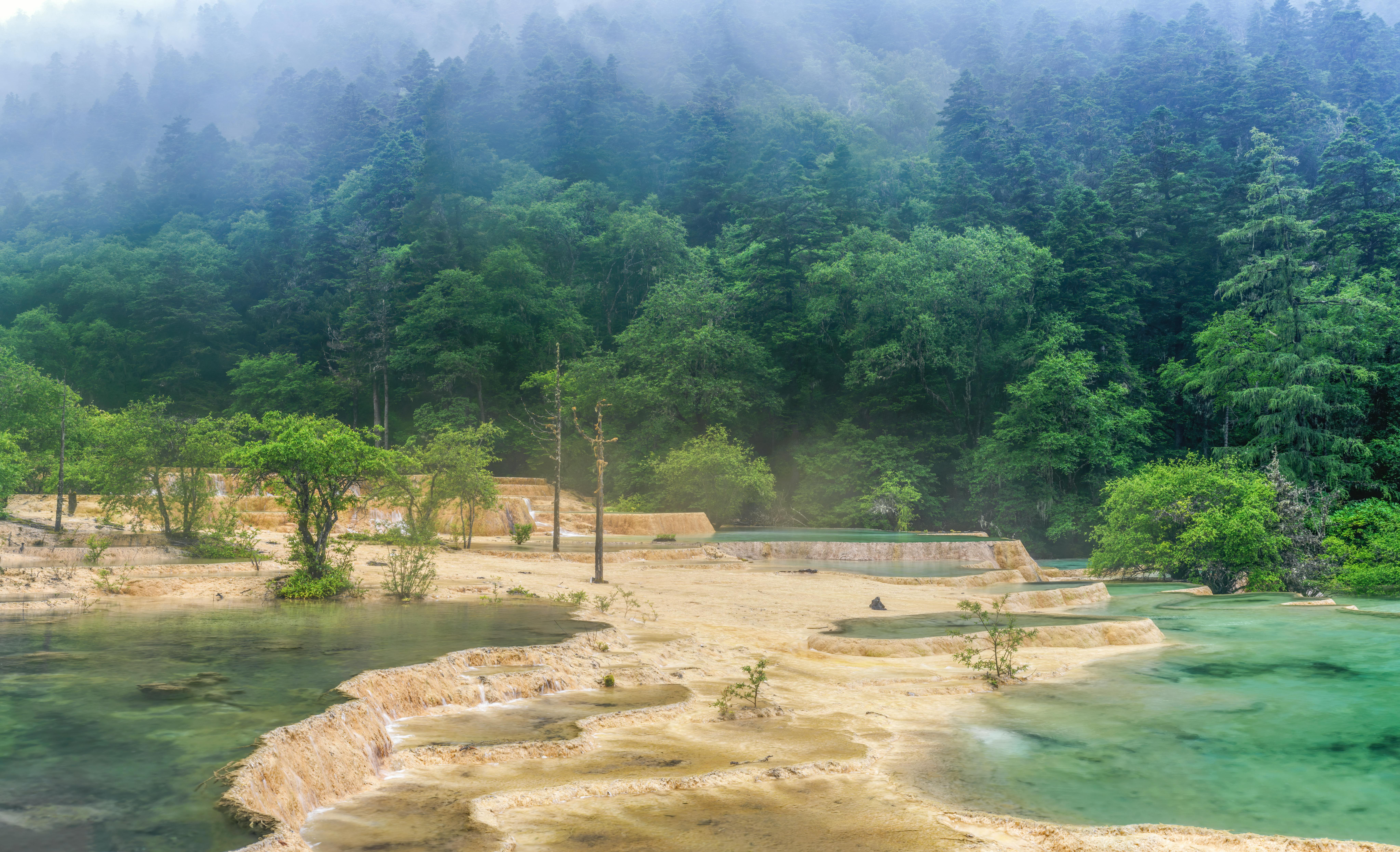 Misty Forest and Natural Terraced Pools Landscape · Free Stock Photo