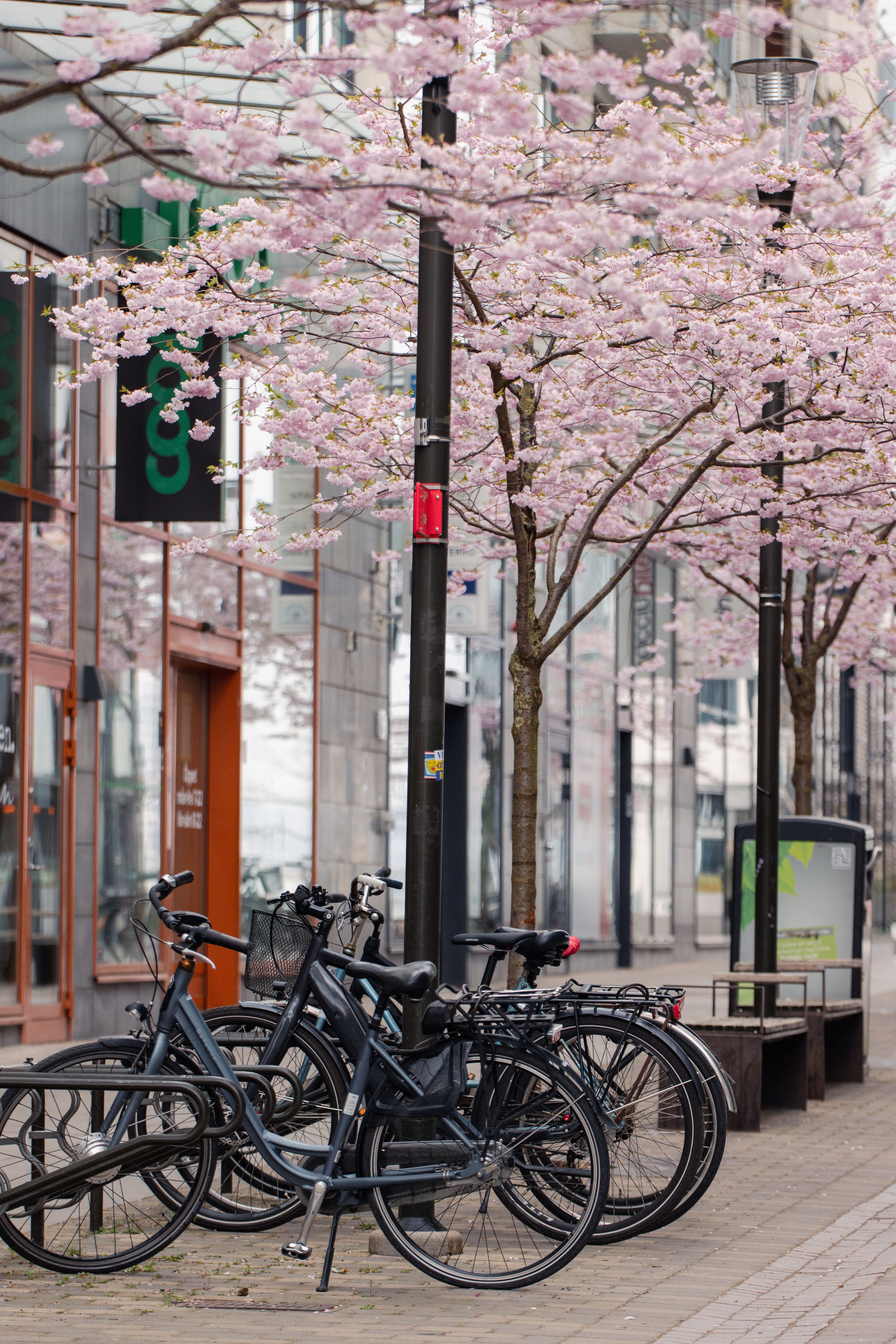 Cycle Friendly Photos, Download The BEST Free Cycle Friendly Stock ...