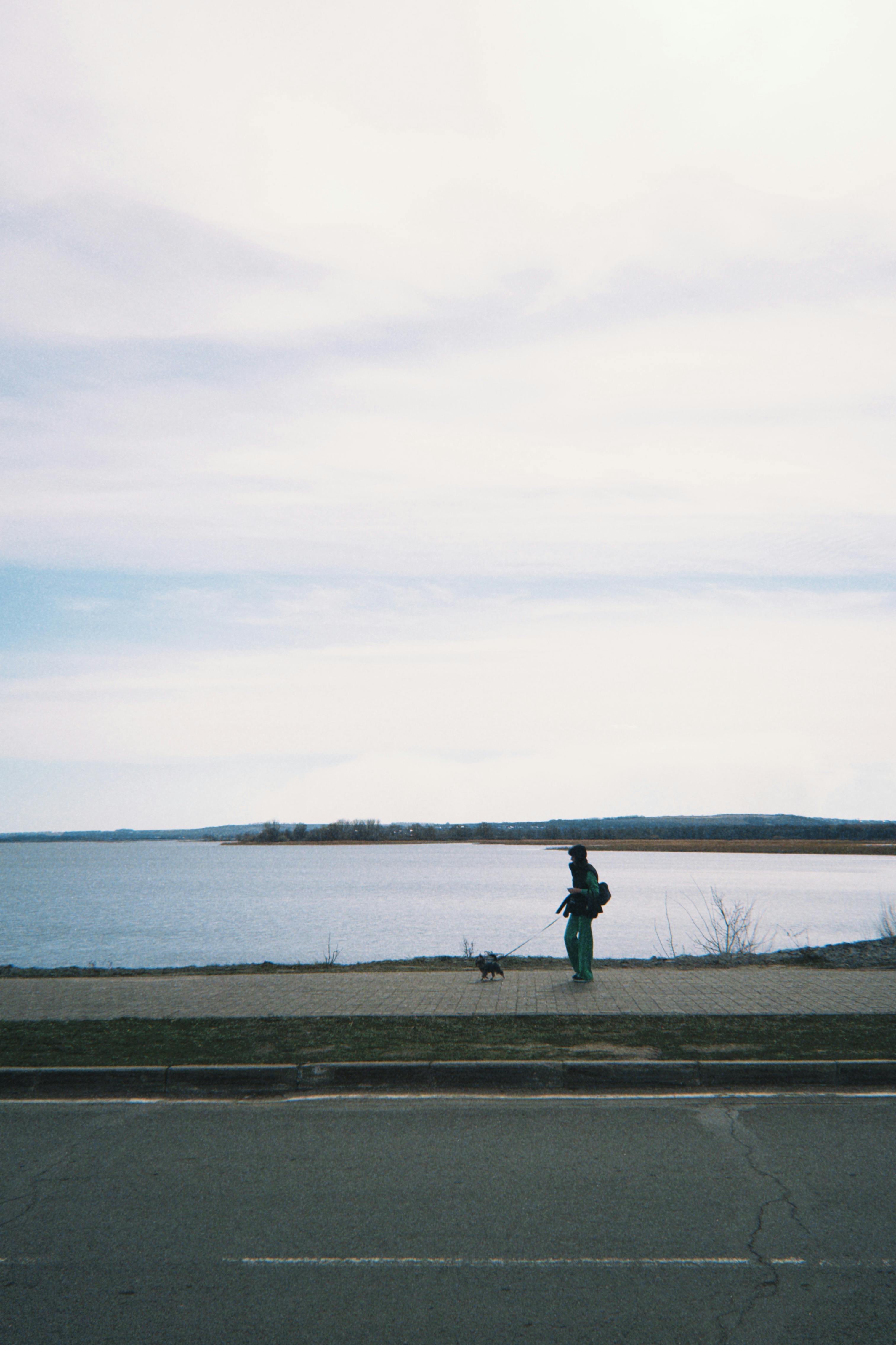 Peaceful Lake Walk with Pet Dog at Waterside · Free Stock Photo