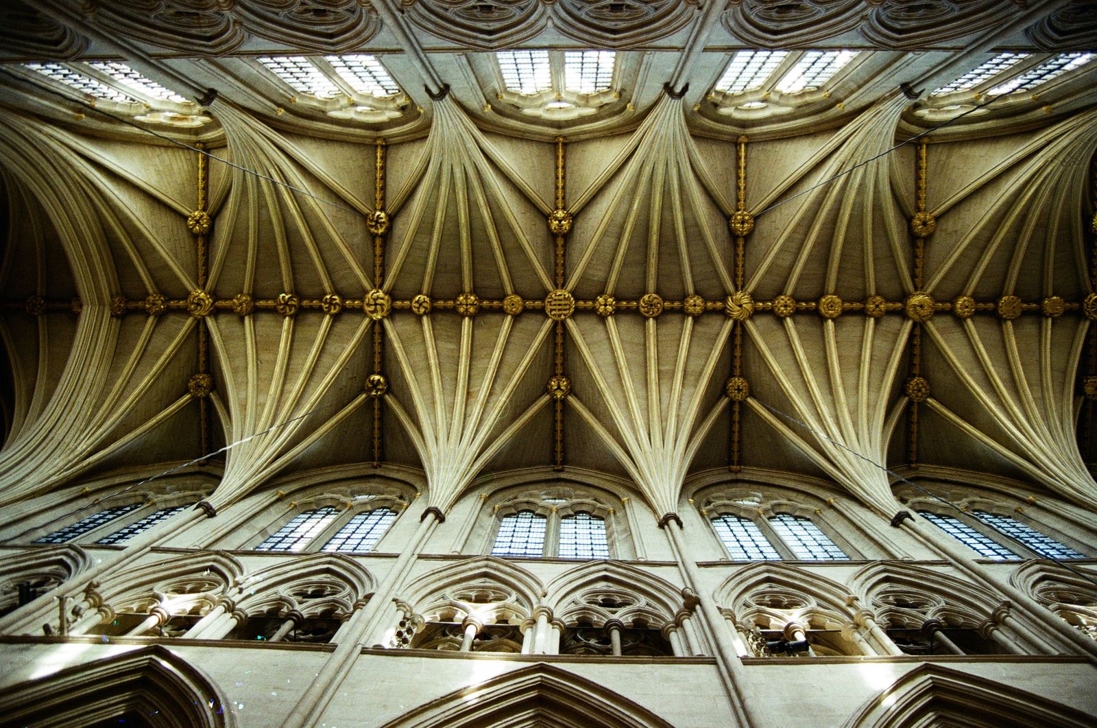 Pvc Ceiling Photos, Download The BEST Free Pvc Ceiling Stock Photos ...
