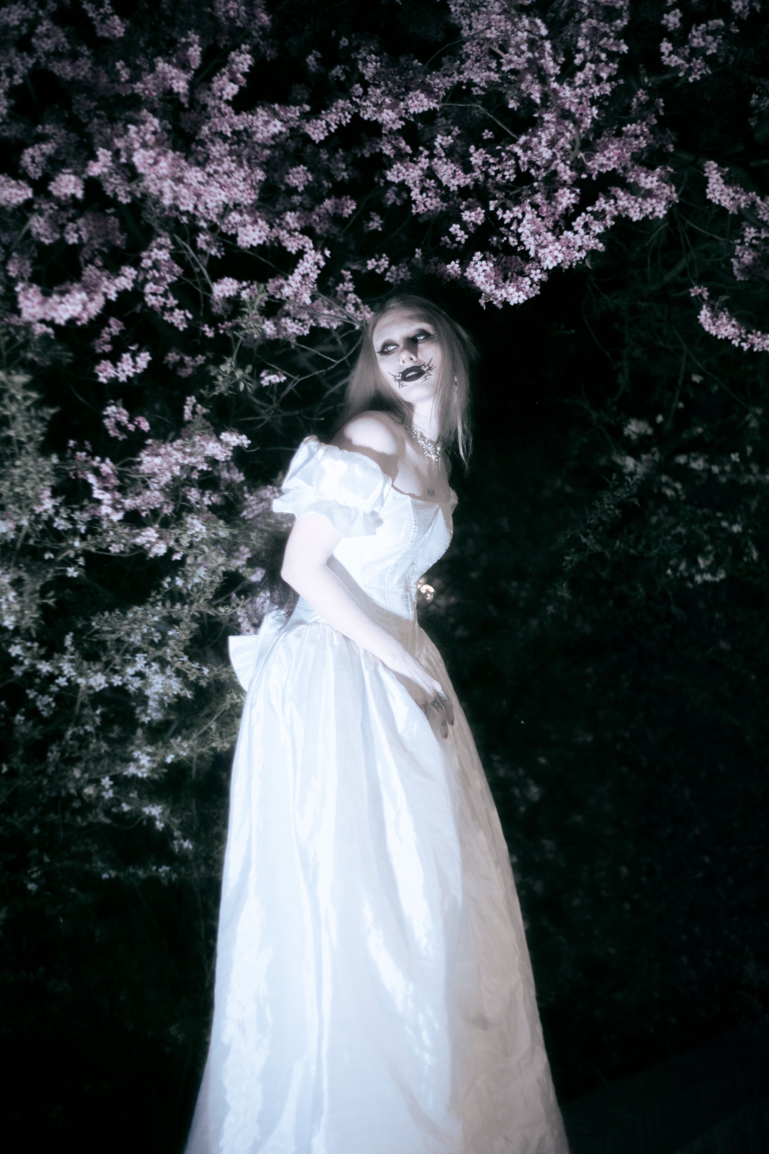 Gothic Bride in Moonlit Cherry Blossom Garden · Free Stock Photo