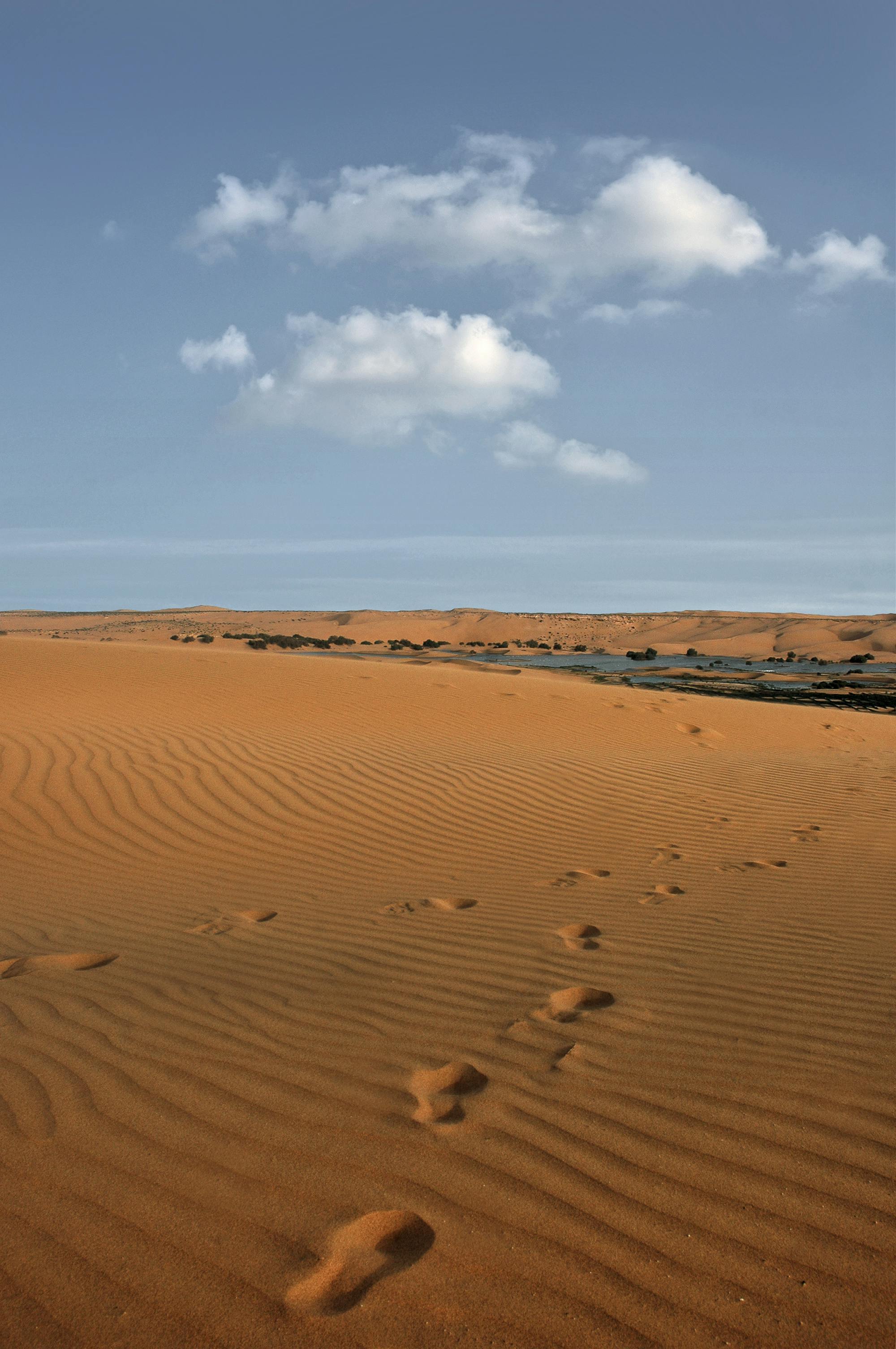Desert Field · Free Stock Photo