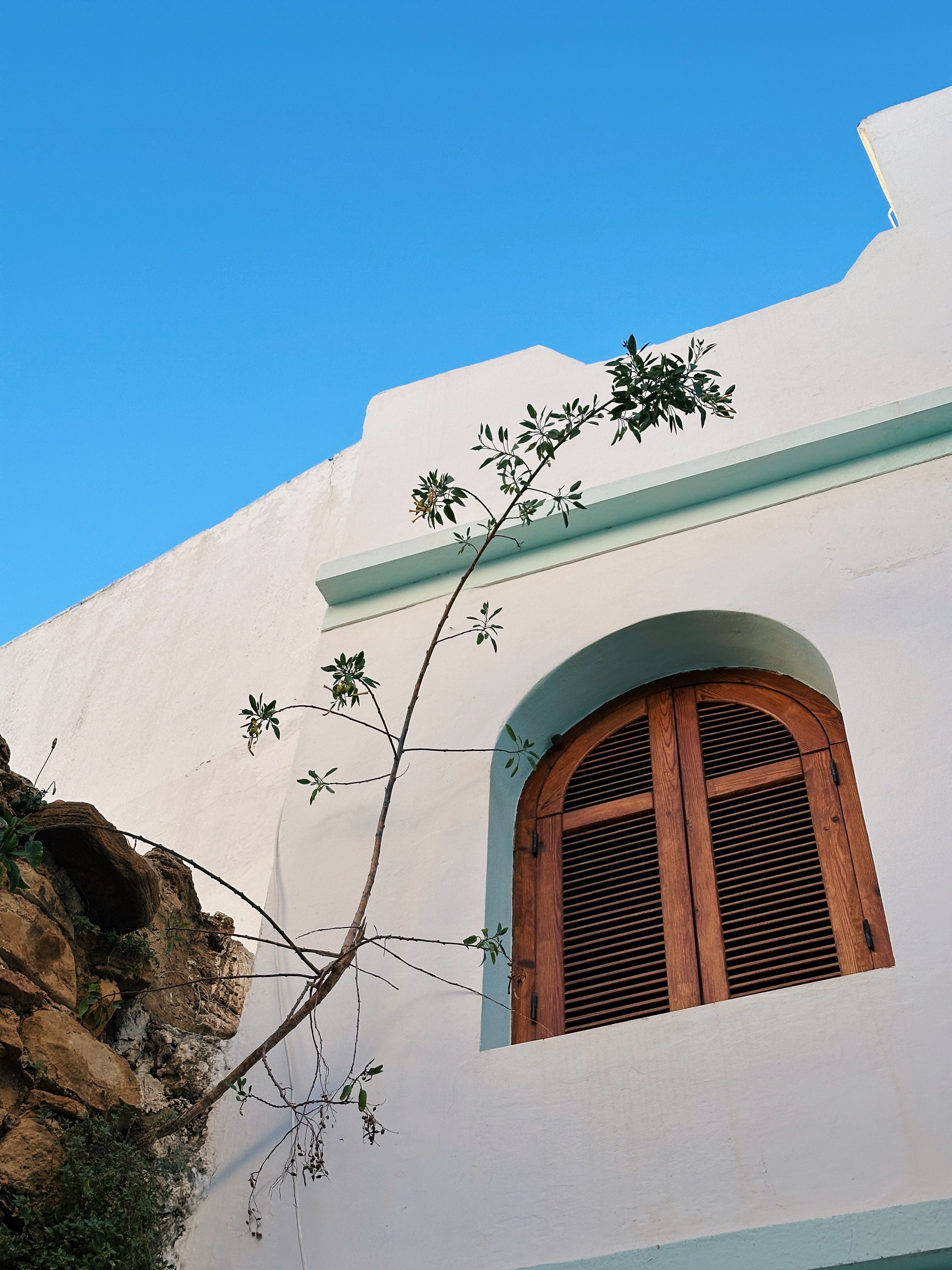 Pin Stucco Photos, Download The BEST Free Pin Stucco Stock Photos & HD ...