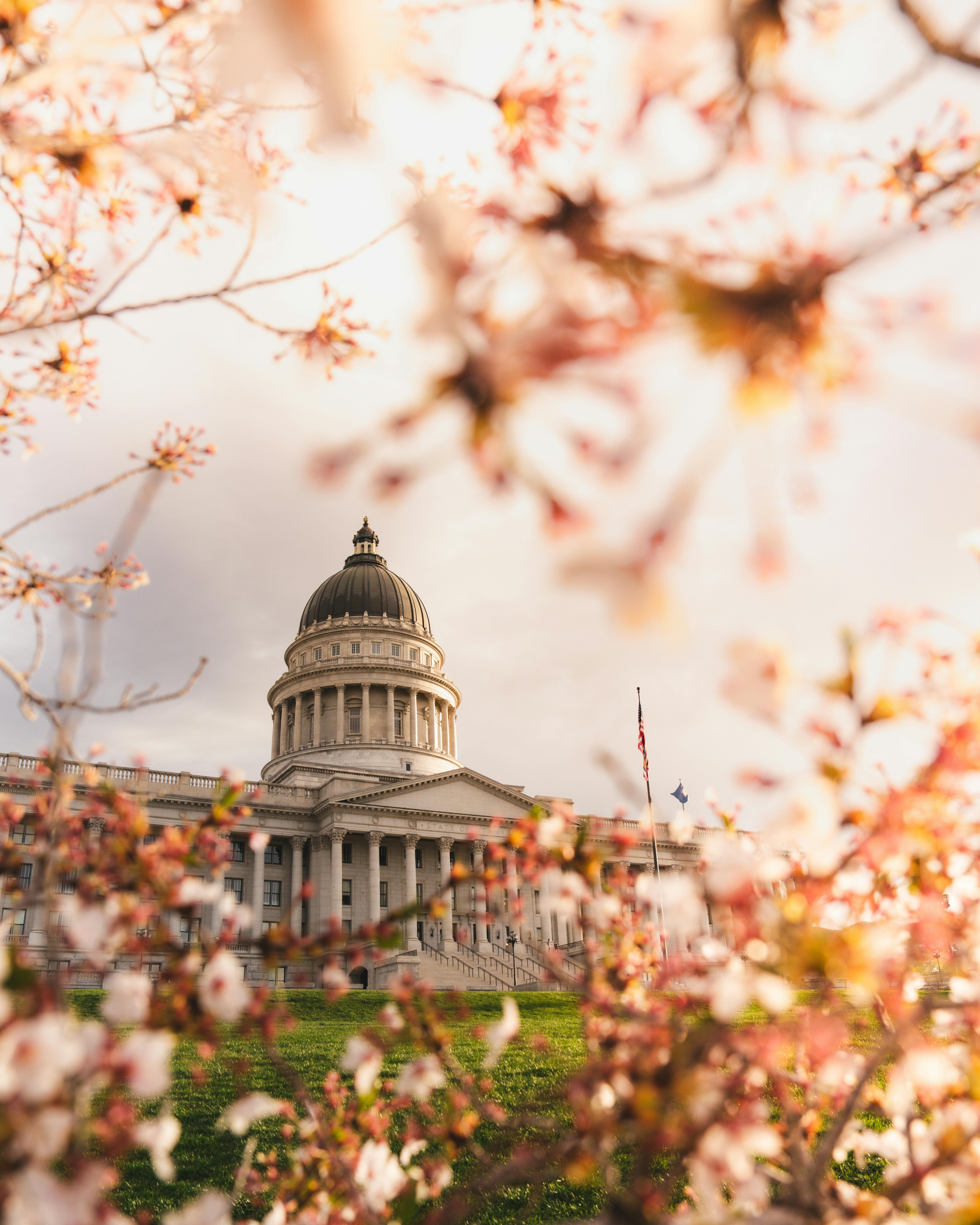 Utah State Capitol in Spring with Cherry Blossoms · Free Stock Photo