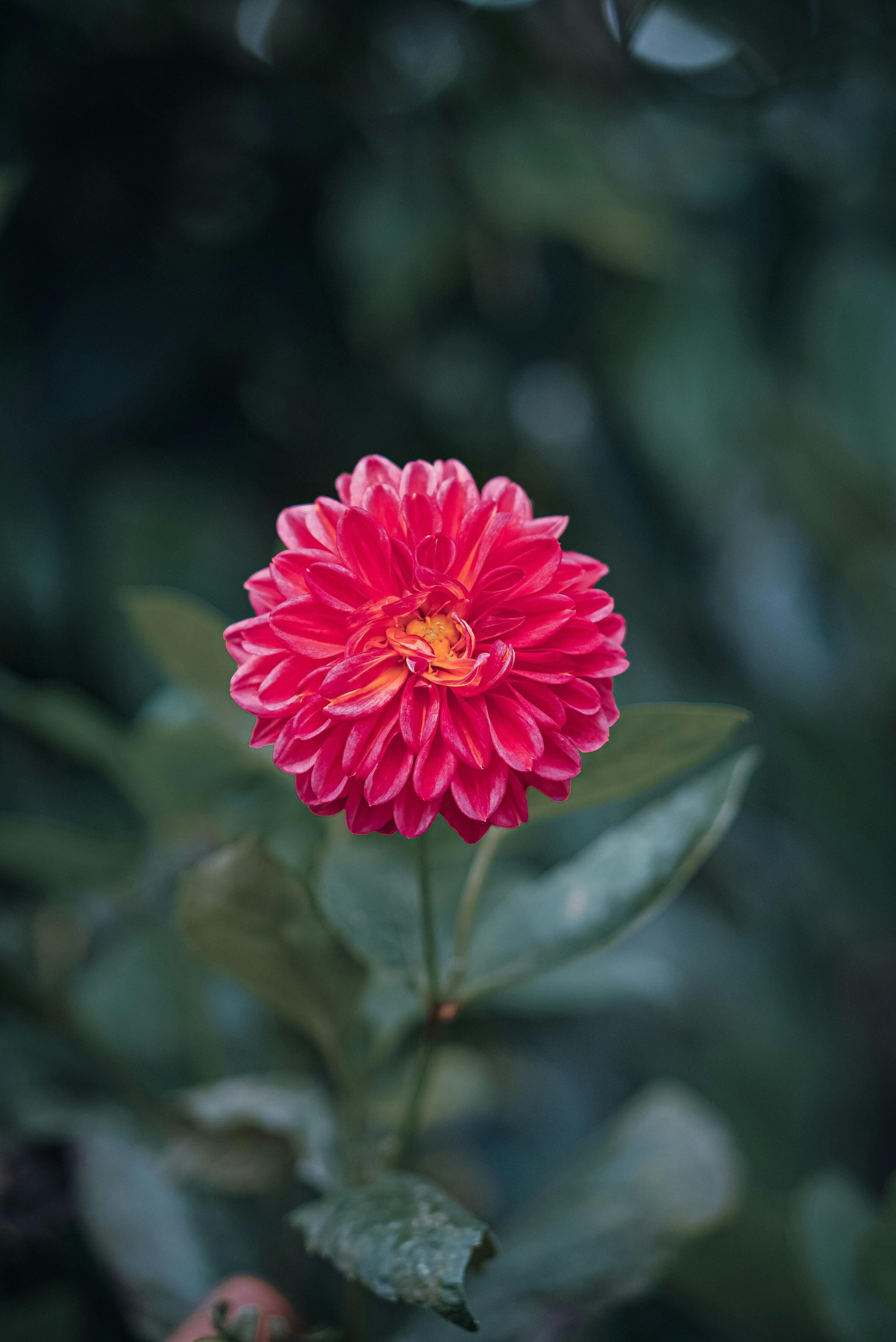 blesson abraham - Photography