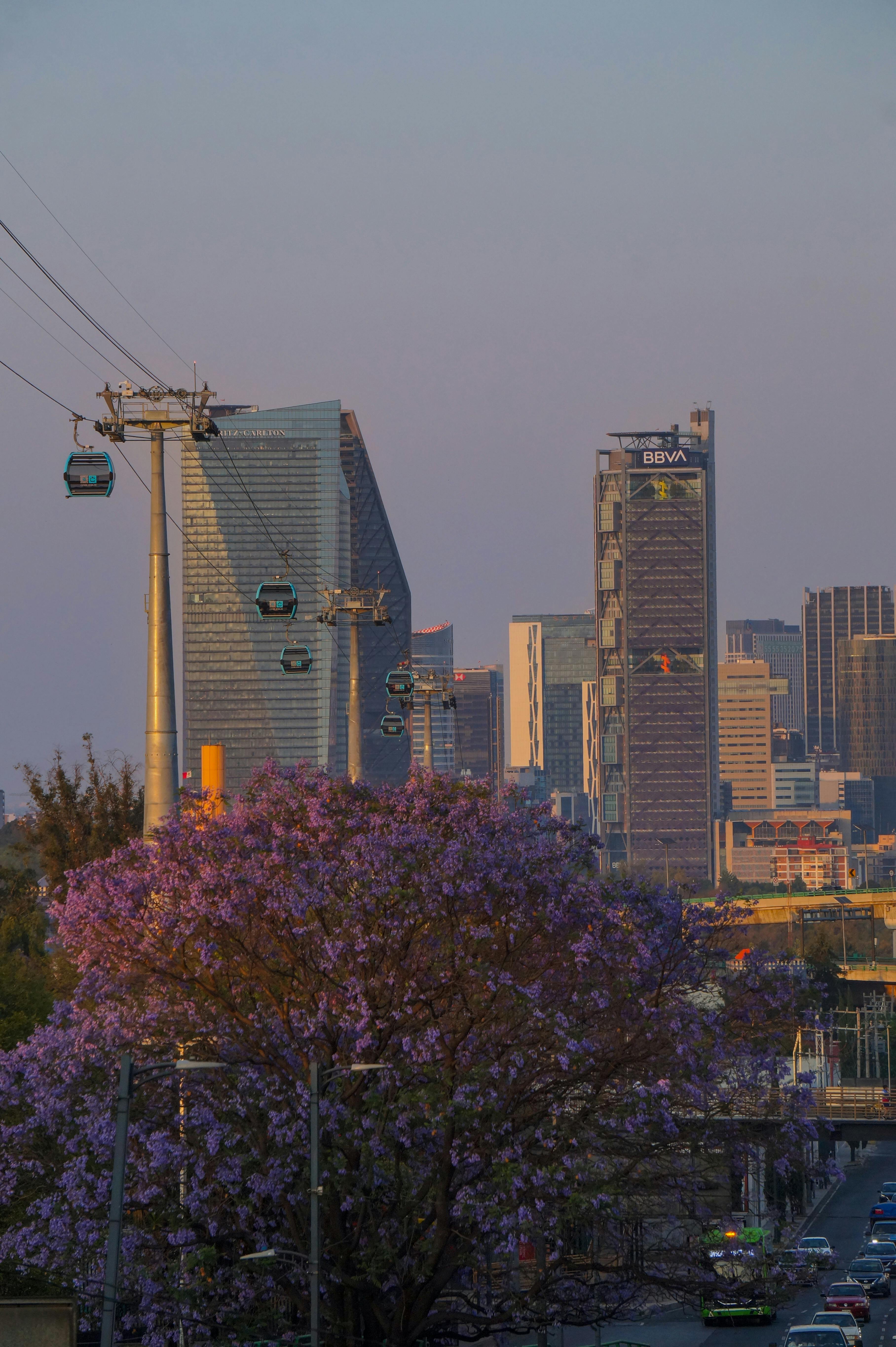 Urban Spring Cityscape with Blooming Trees and Skylift · Free Stock Photo