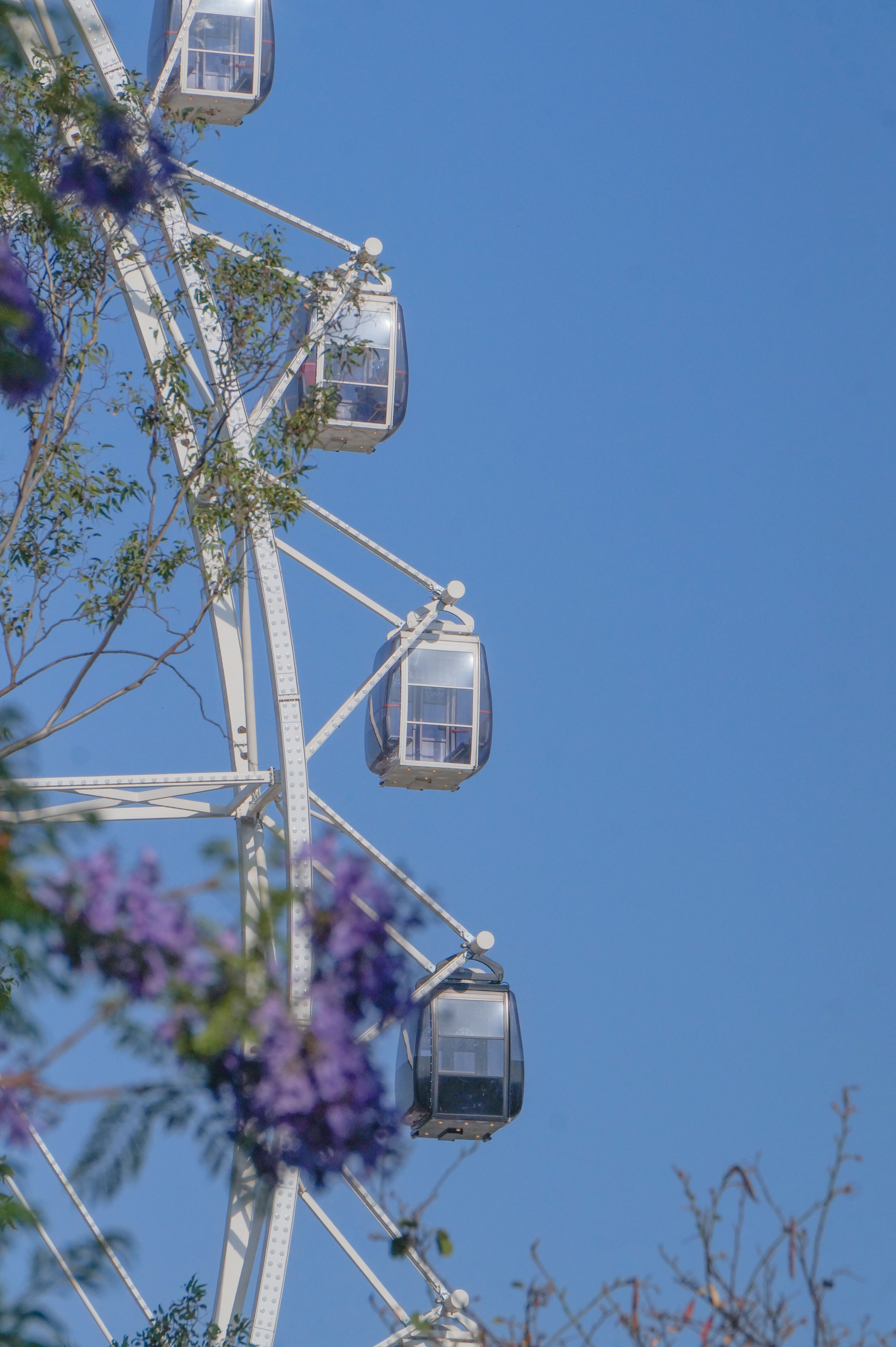 Ferris Wheel Against Clear Blue Sky with Trees · Free Stock Photo