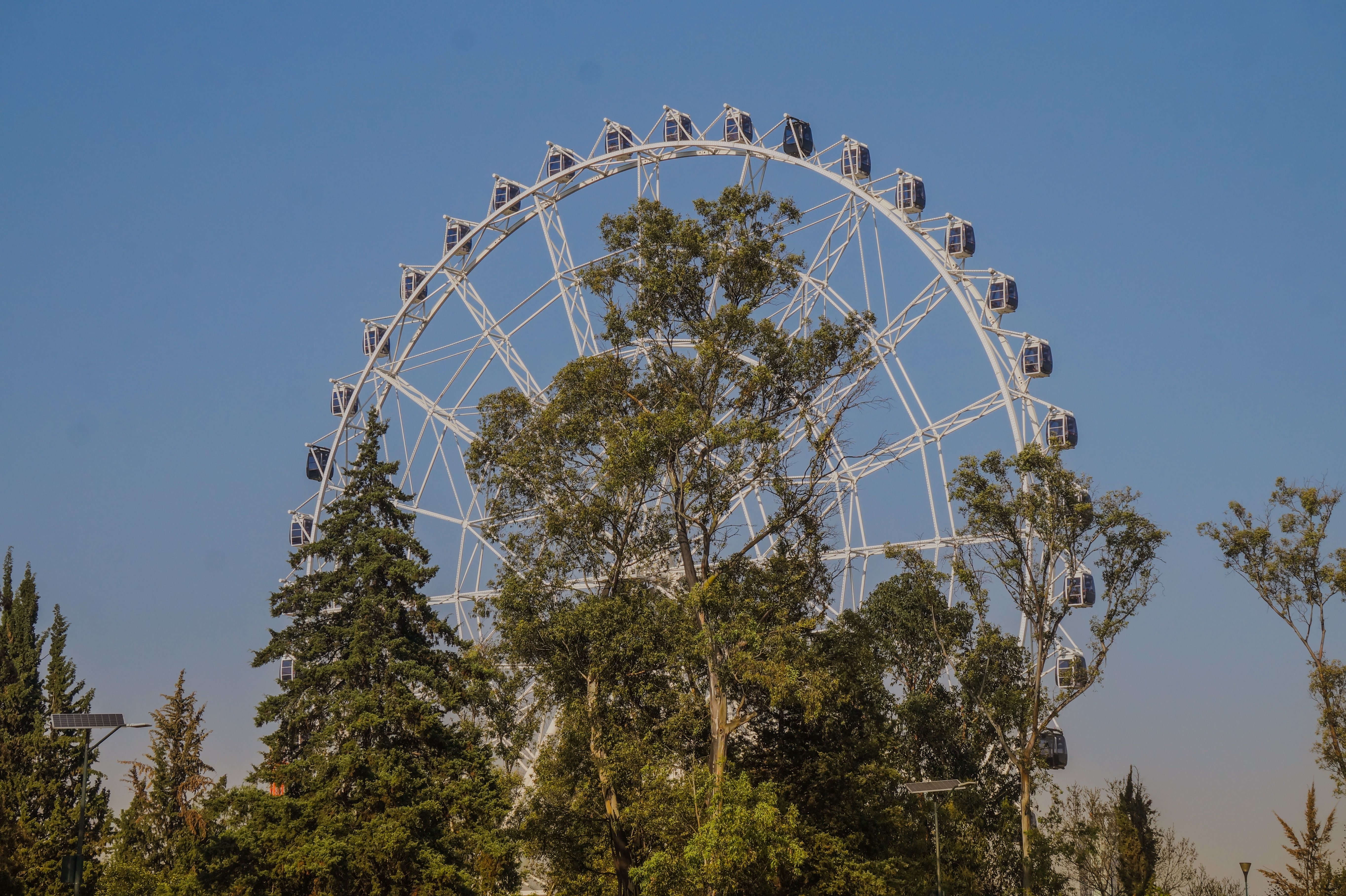 Ferris Wheel Hidden Behind Trees in Daylight · Free Stock Photo