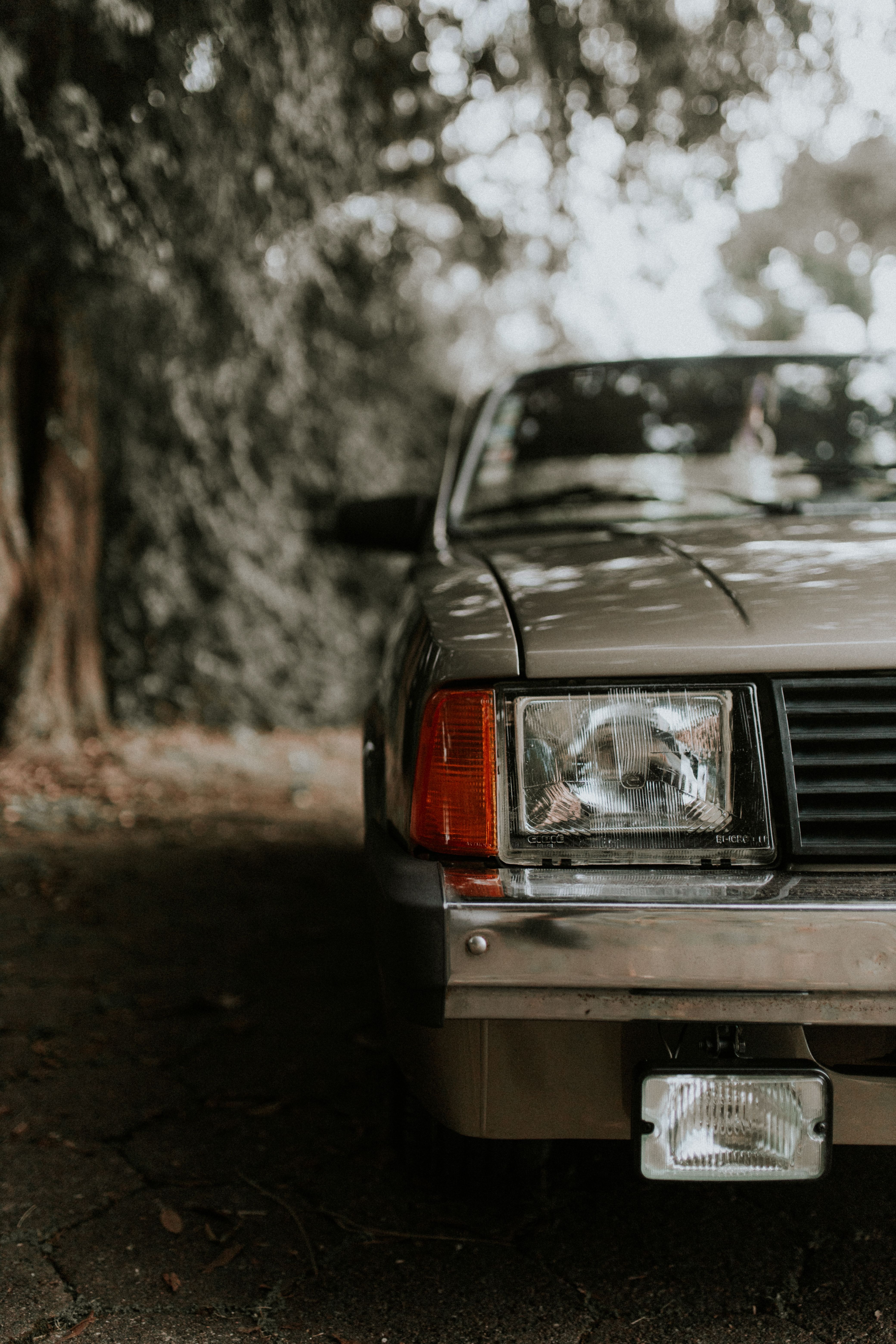 Vintage Car Under Shaded Trees in Daylight · Free Stock Photo