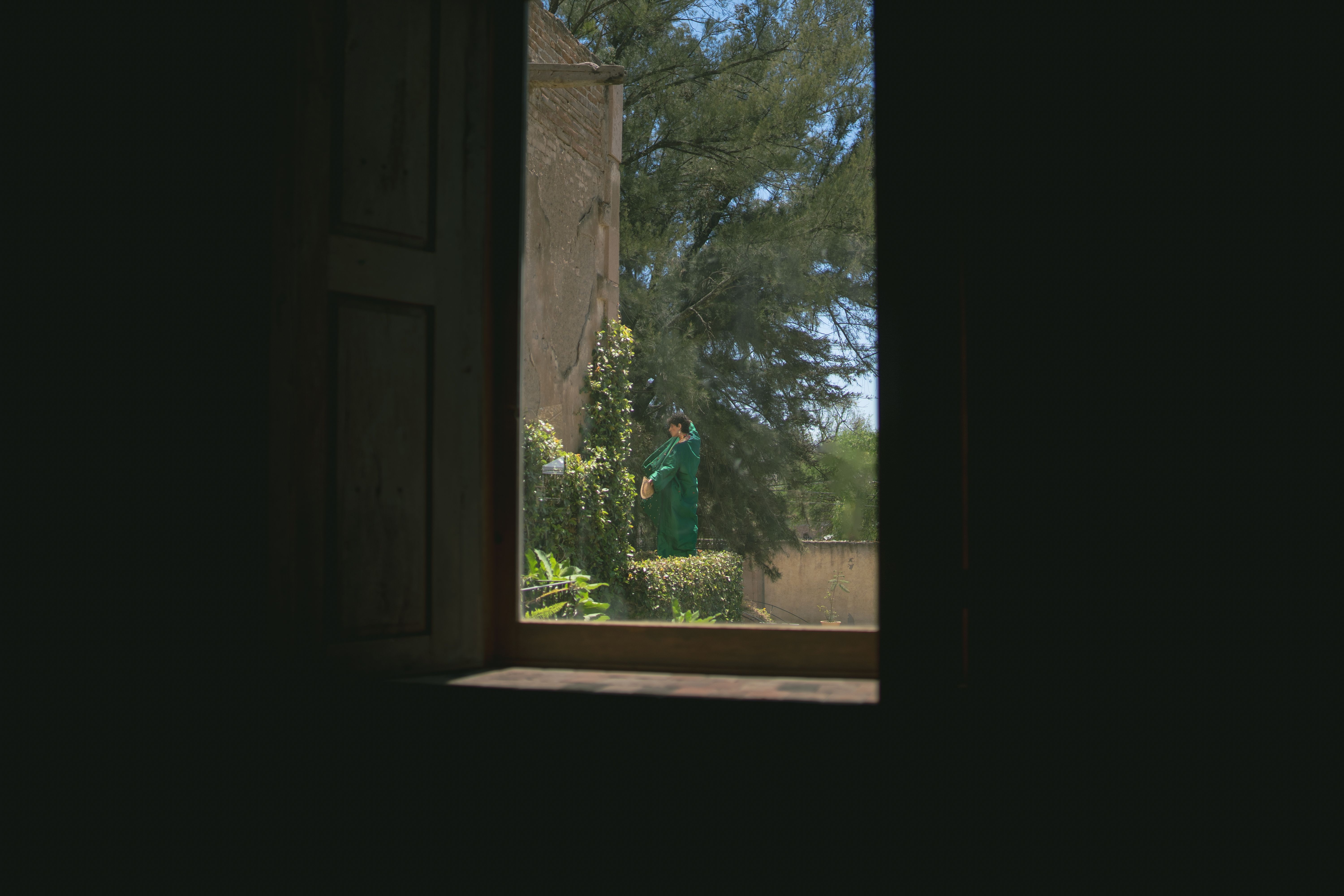 Serene Outdoor Scene Viewed Through a Window · Free Stock Photo