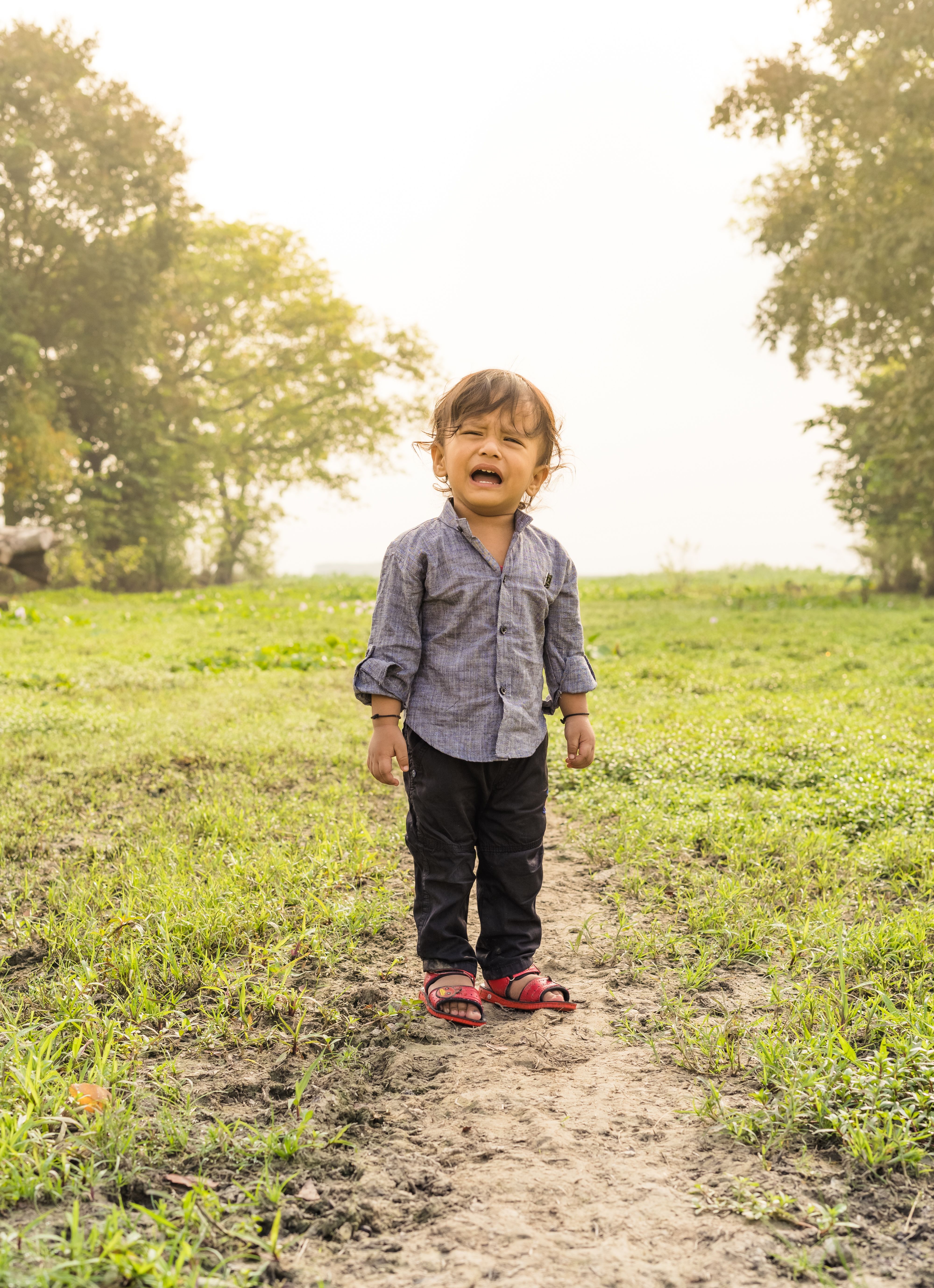 Little Boy Crying in a Scenic Outdoor Field · Free Stock Photo
