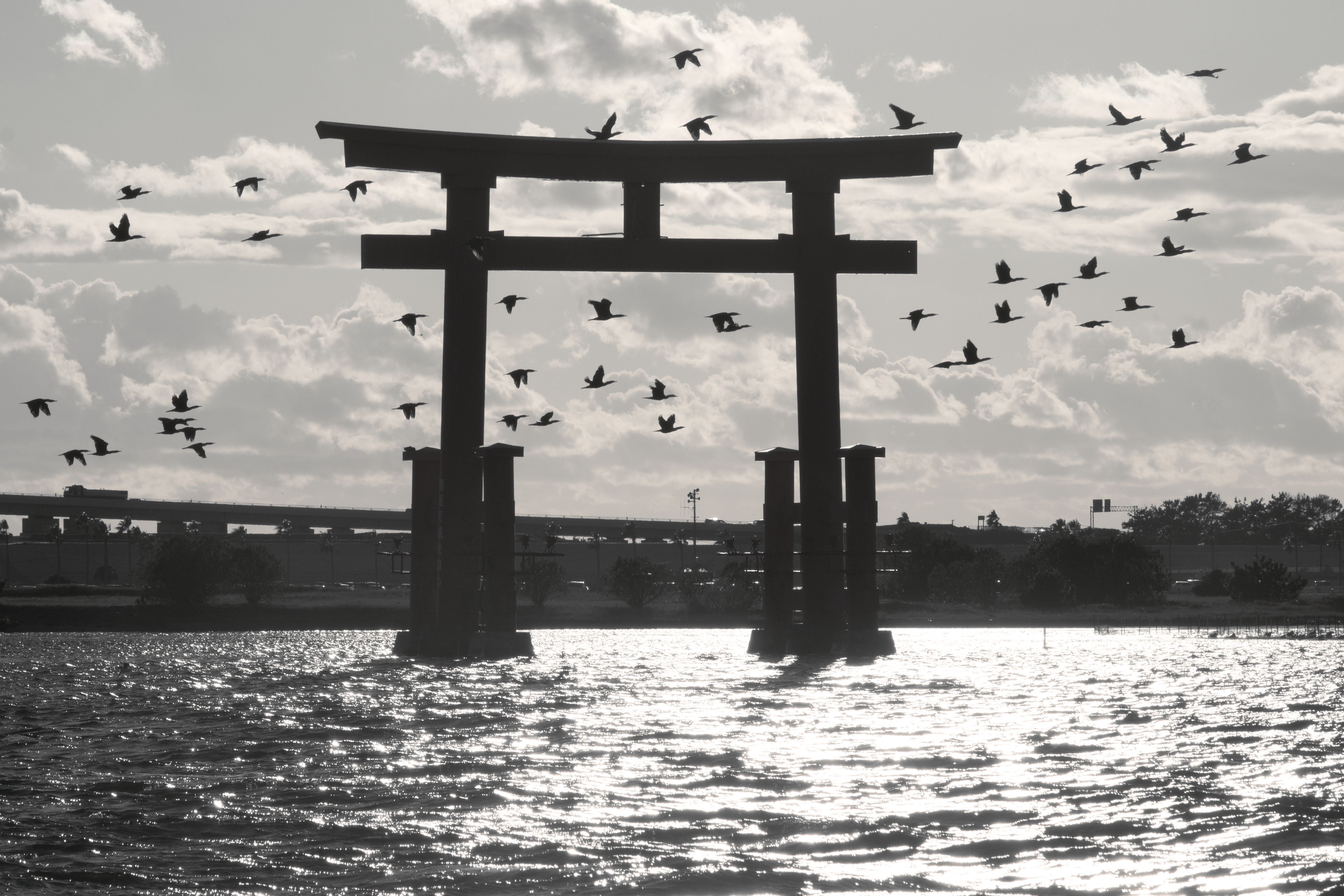 Rafael Hideki Tamanaha - Photography