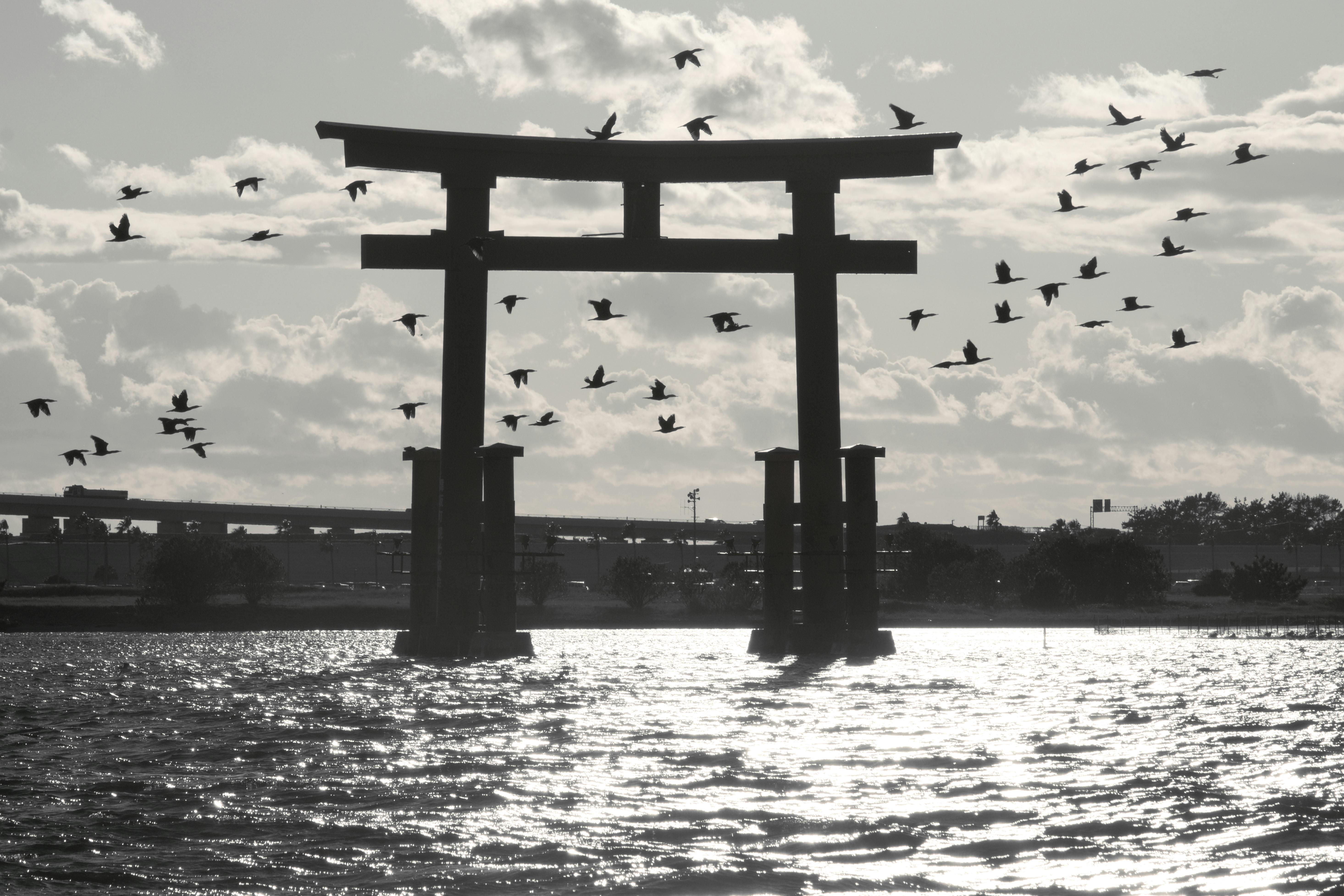 Silhouette of Torii Gate with Birds in Flight · Free Stock Photo