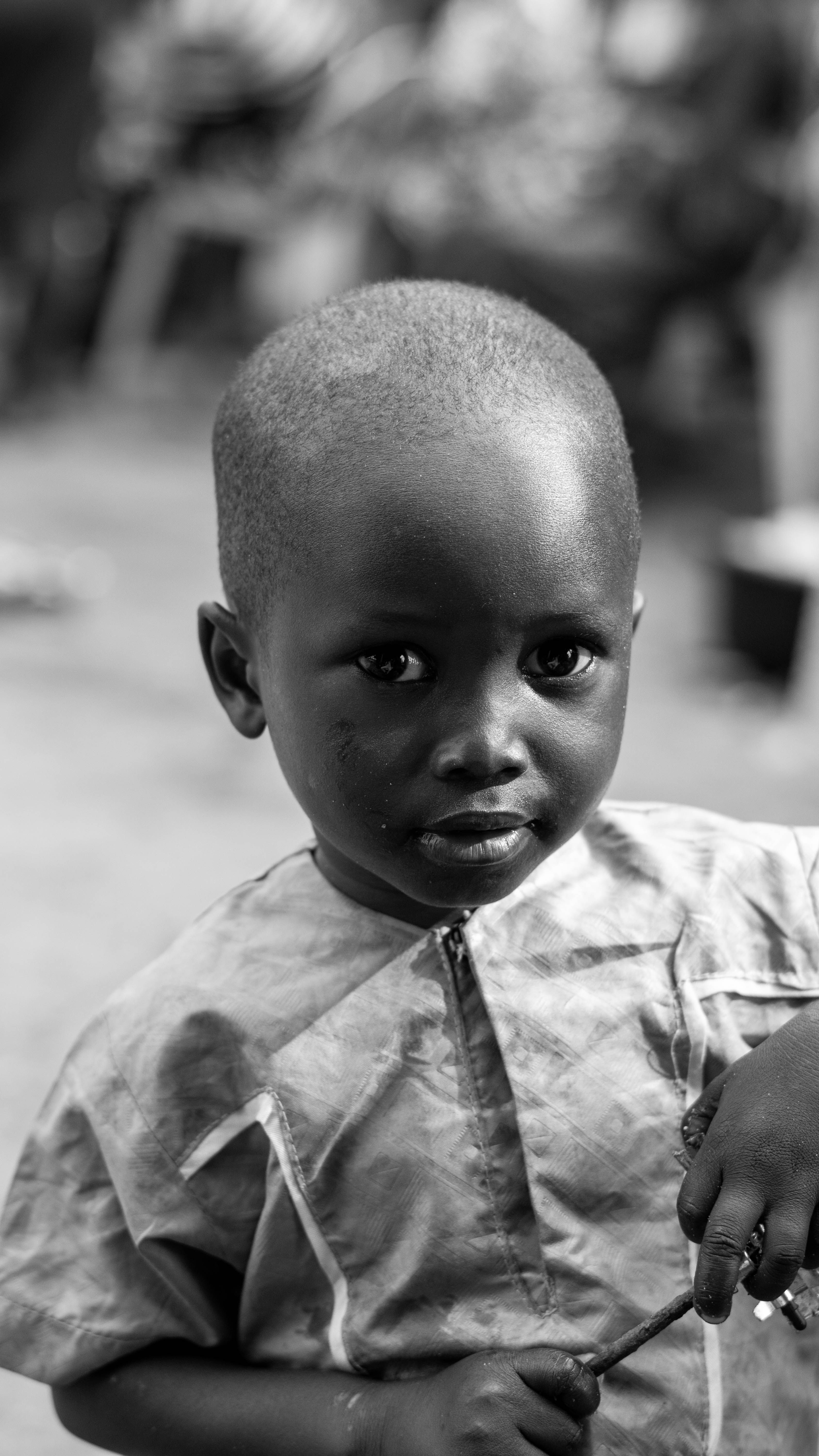 Potrait Photos, Download The BEST Free Potrait Stock Photos & HD Images