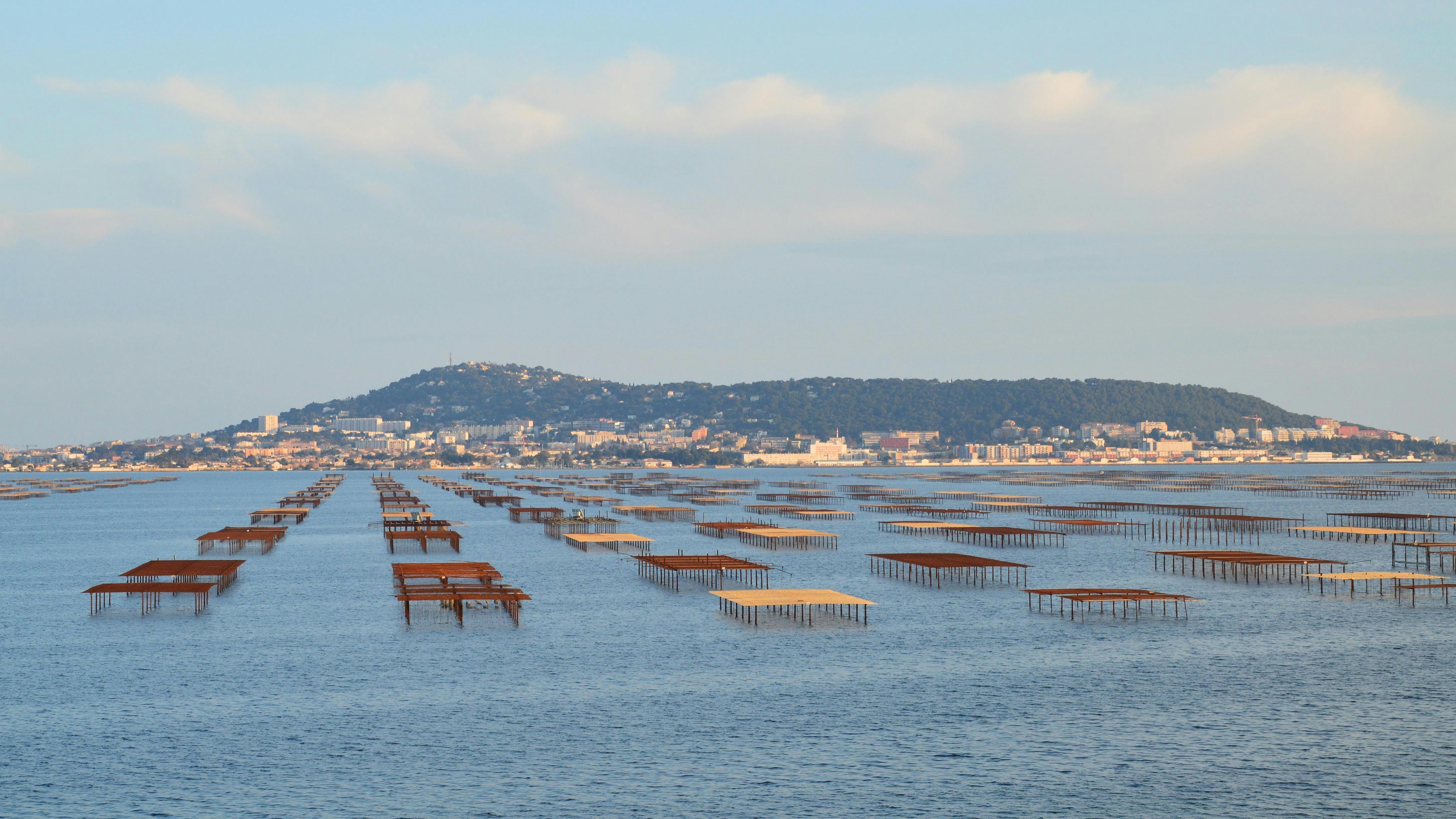 Rural Aquaculture Photos, Download The BEST Free Rural Aquaculture ...