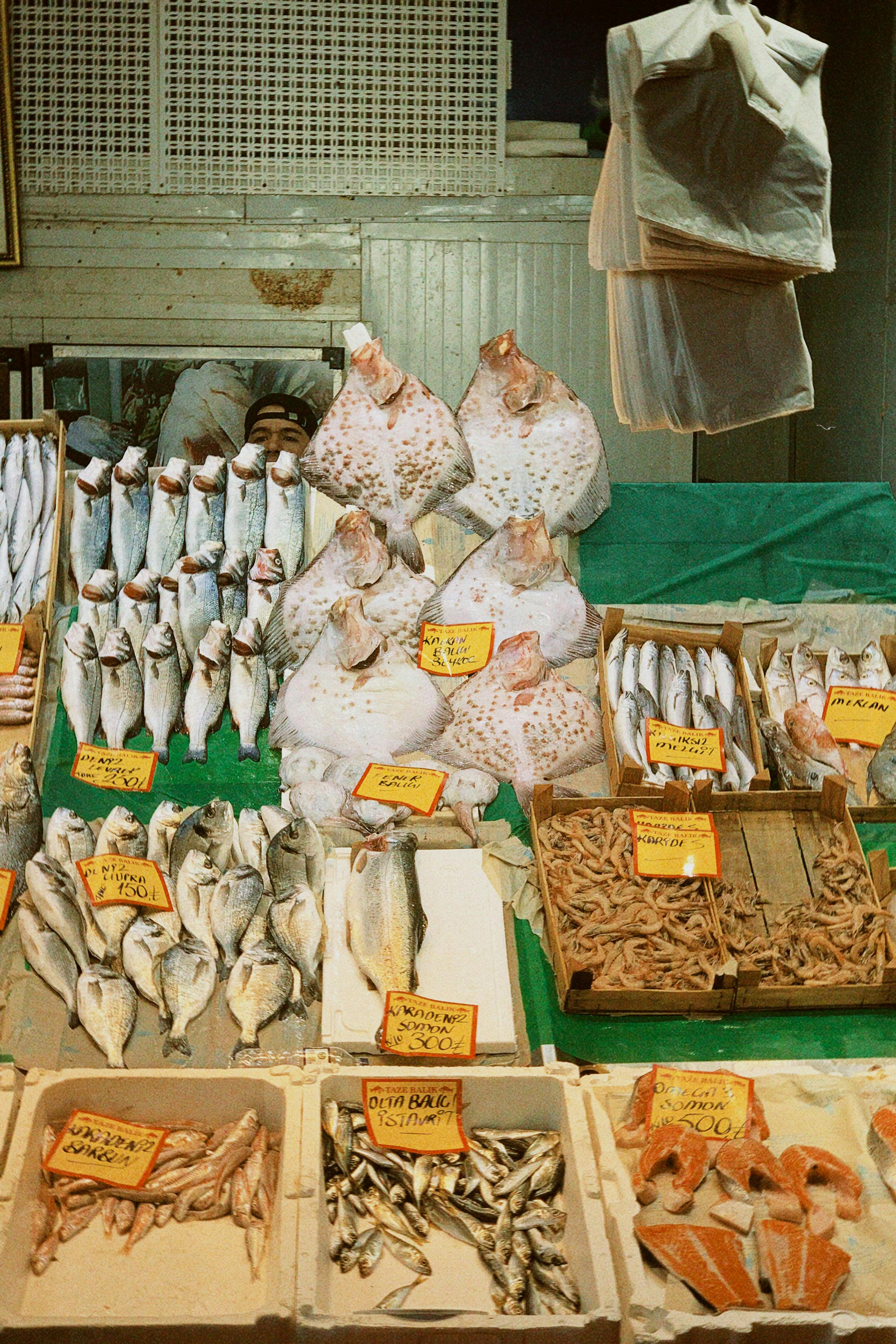 Vibrant Seafood Market Display with Fresh Fish · Free Stock Photo