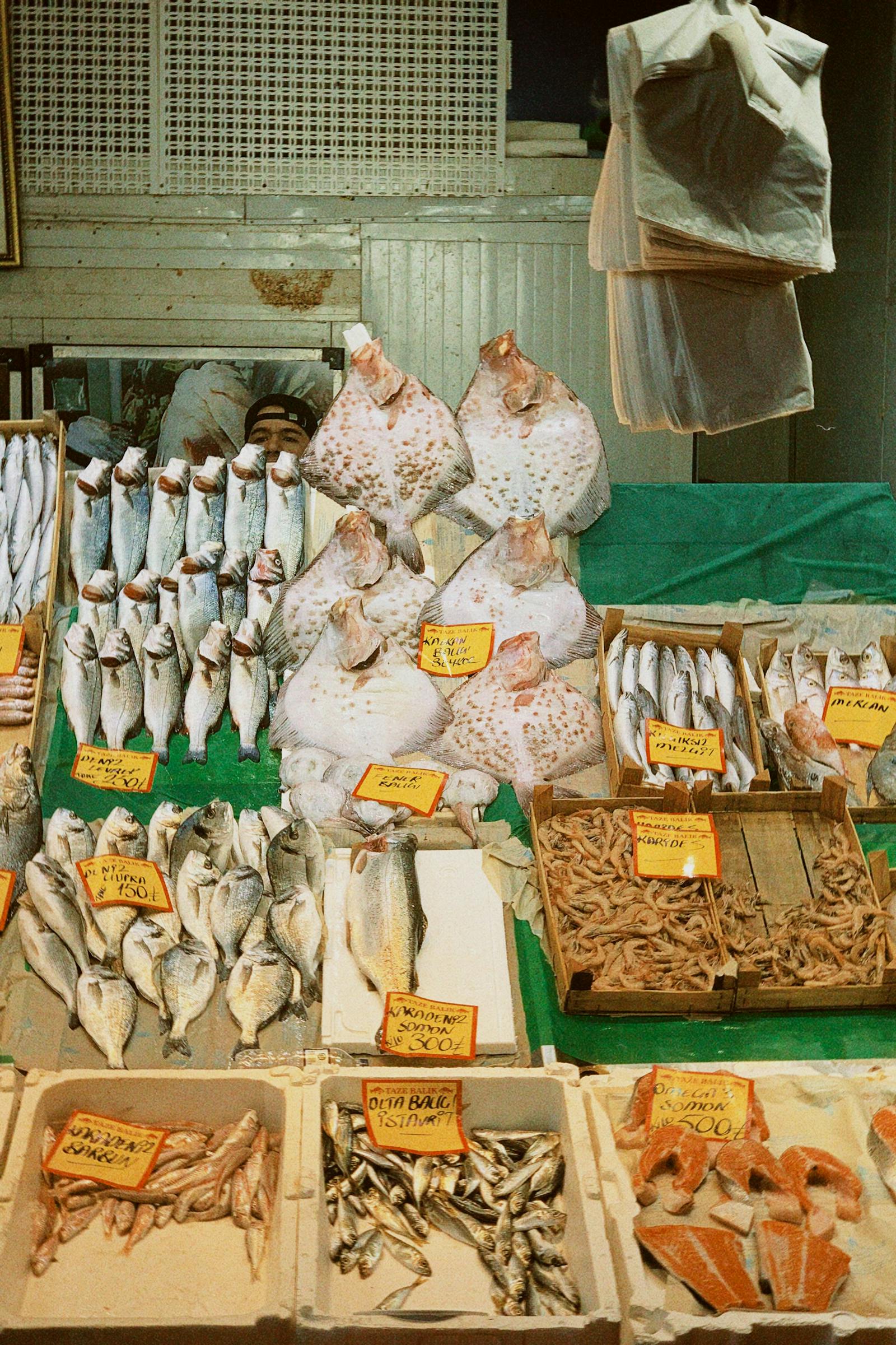 Fish Cod Photos, Download The BEST Free Fish Cod Stock Photos & HD Images