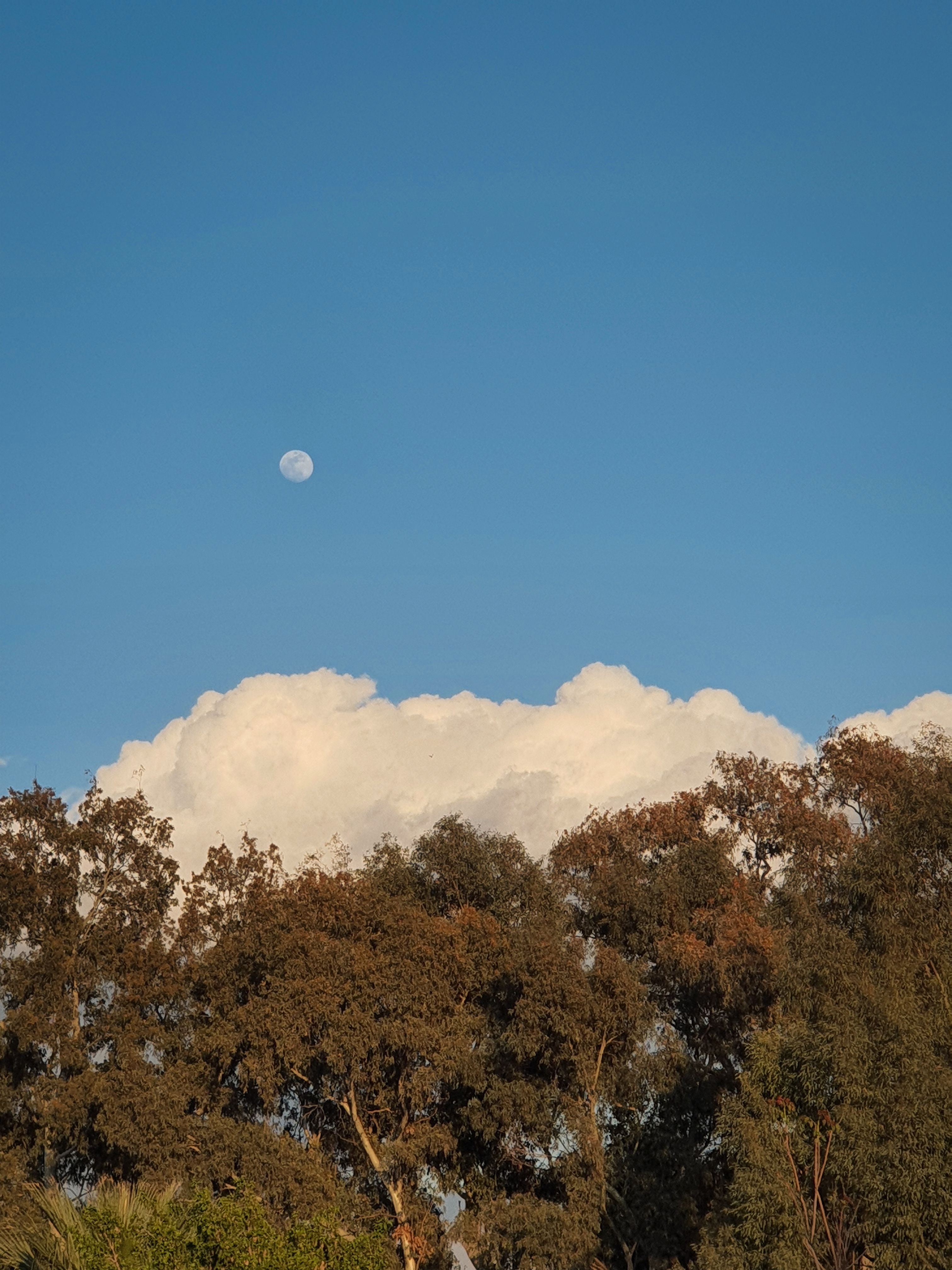 Moon Tepelhof Bloot Photos, Download The BEST Free Moon Tepelhof Bloot ...