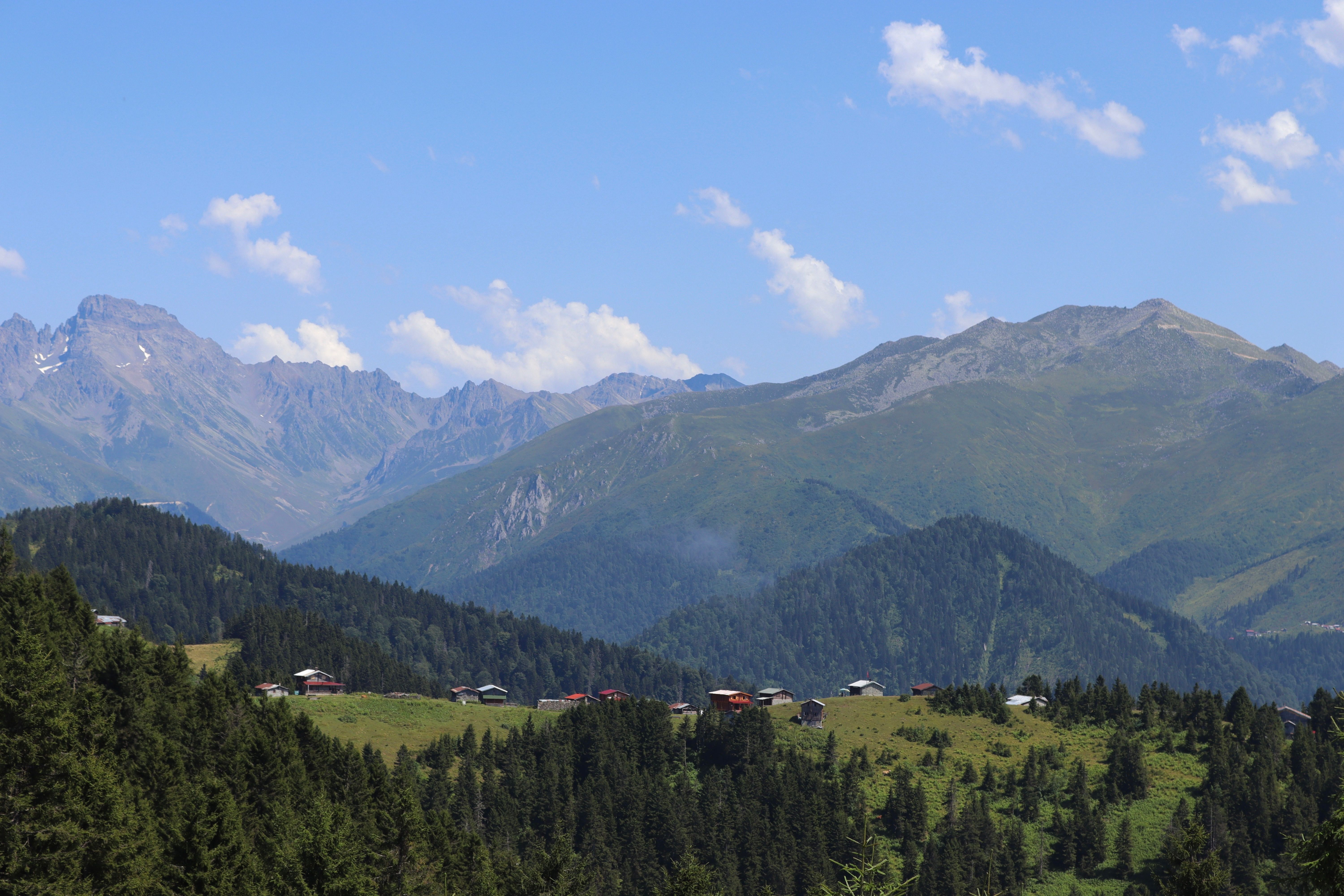 Scenic Mountain Plateau in Summer Landscape · Free Stock Photo