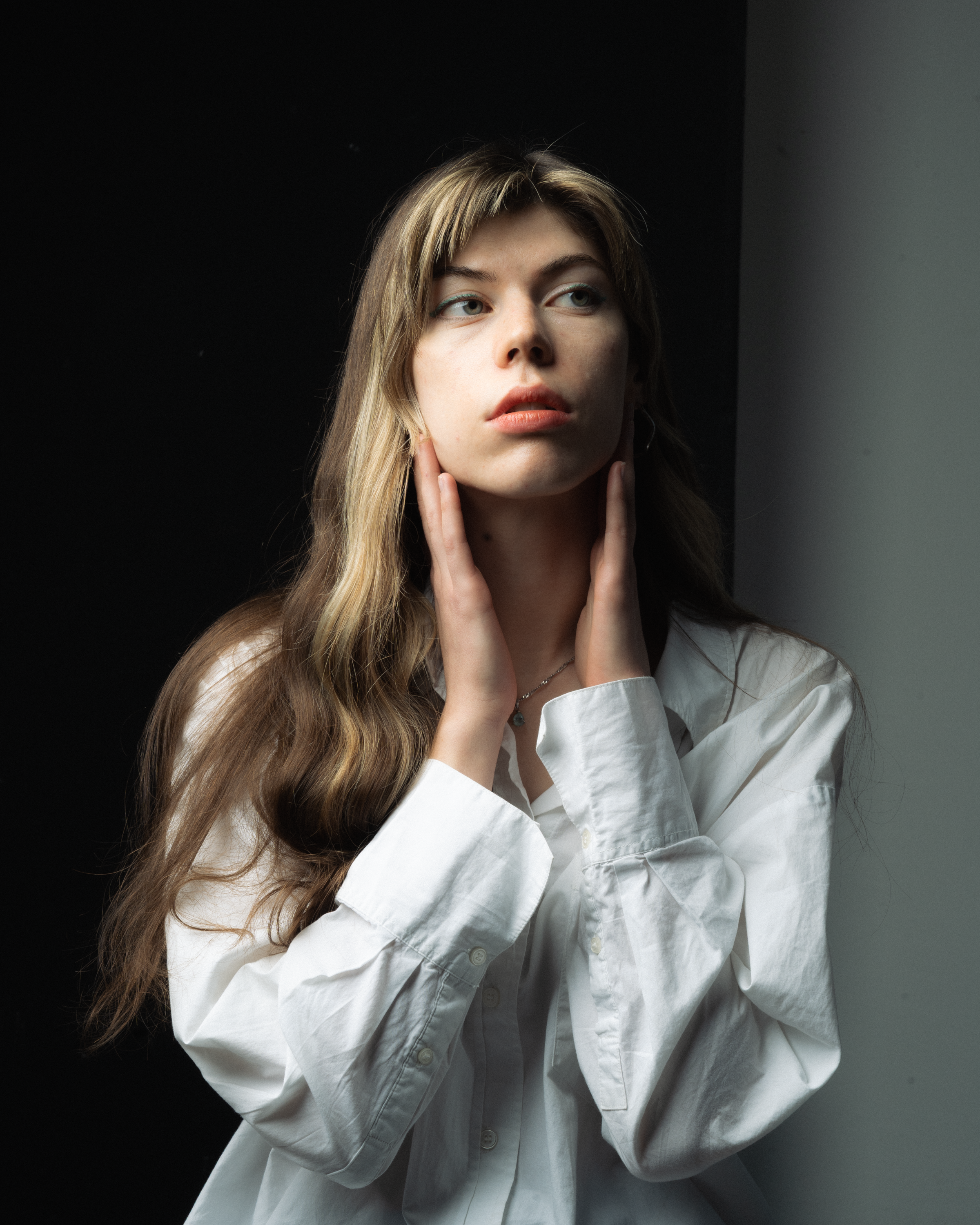Fashionable Woman Posing in Dramatic Lighting · Free Stock Photo