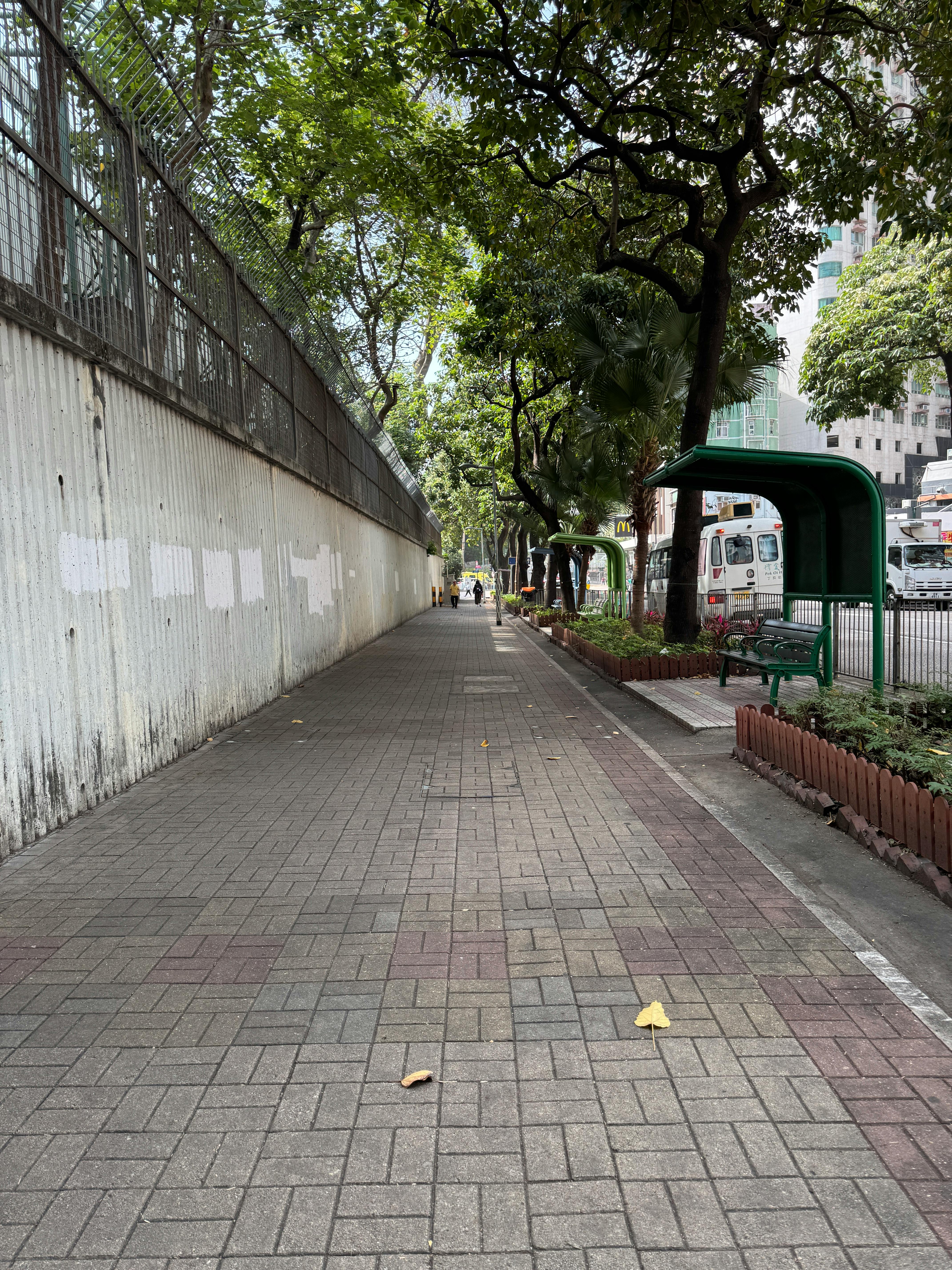 Quiet Urban Sidewalk Pathway Scene · Free Stock Photo