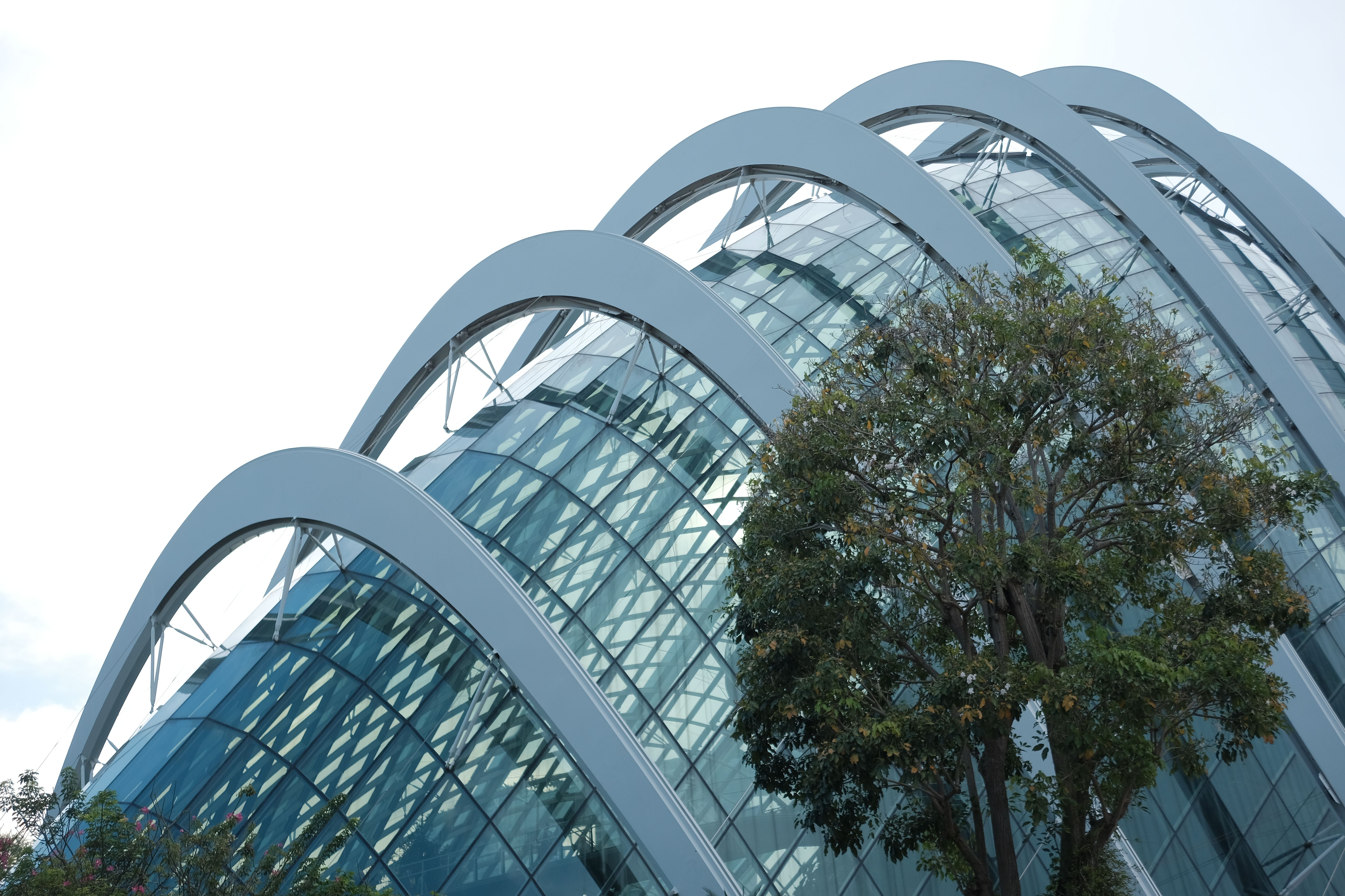 Modern Architectural Design with Glass and Steel Arches · Free Stock Photo