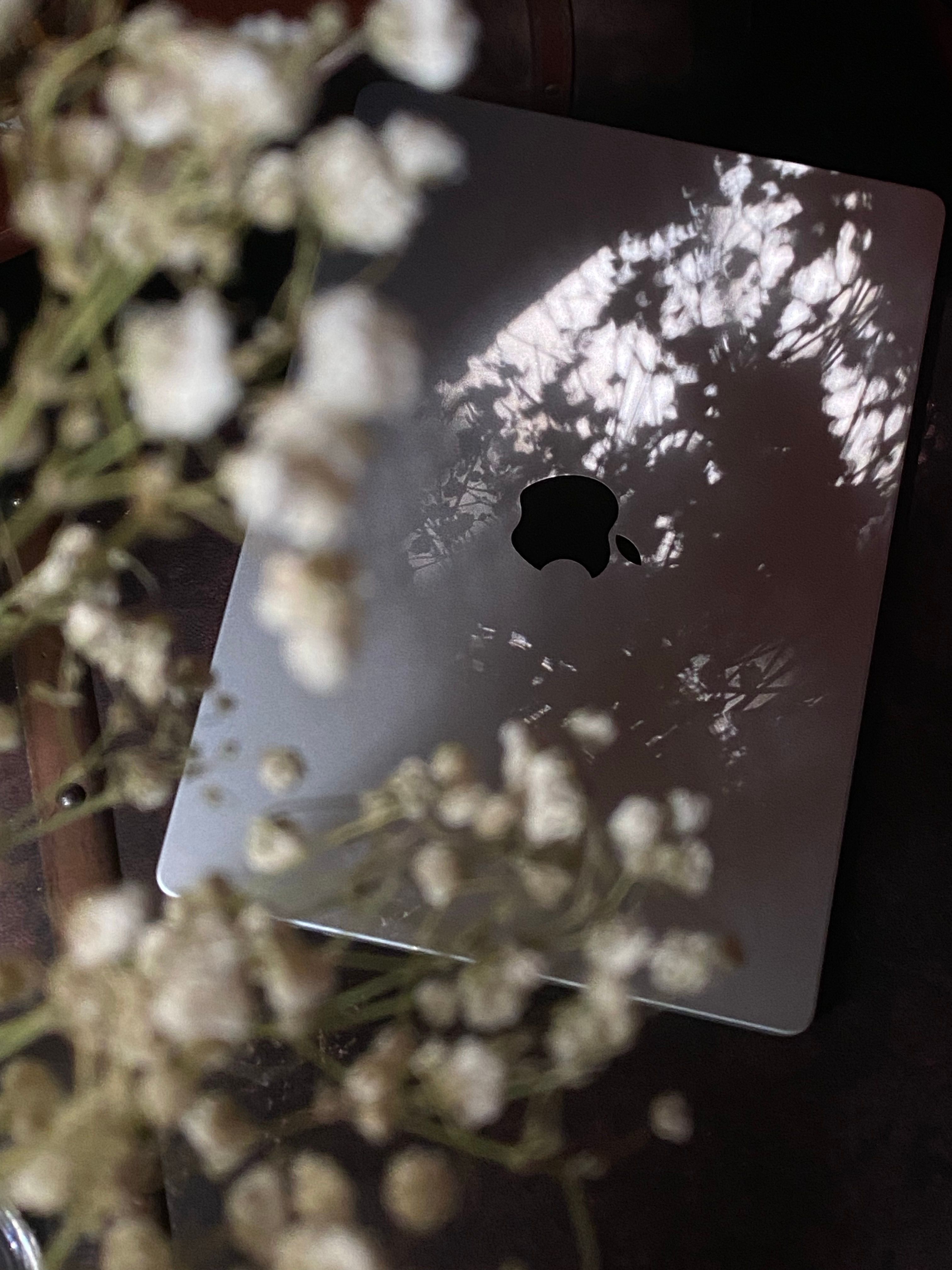 Artistic Reflection on Laptop with Floral Shadows · Free Stock Photo