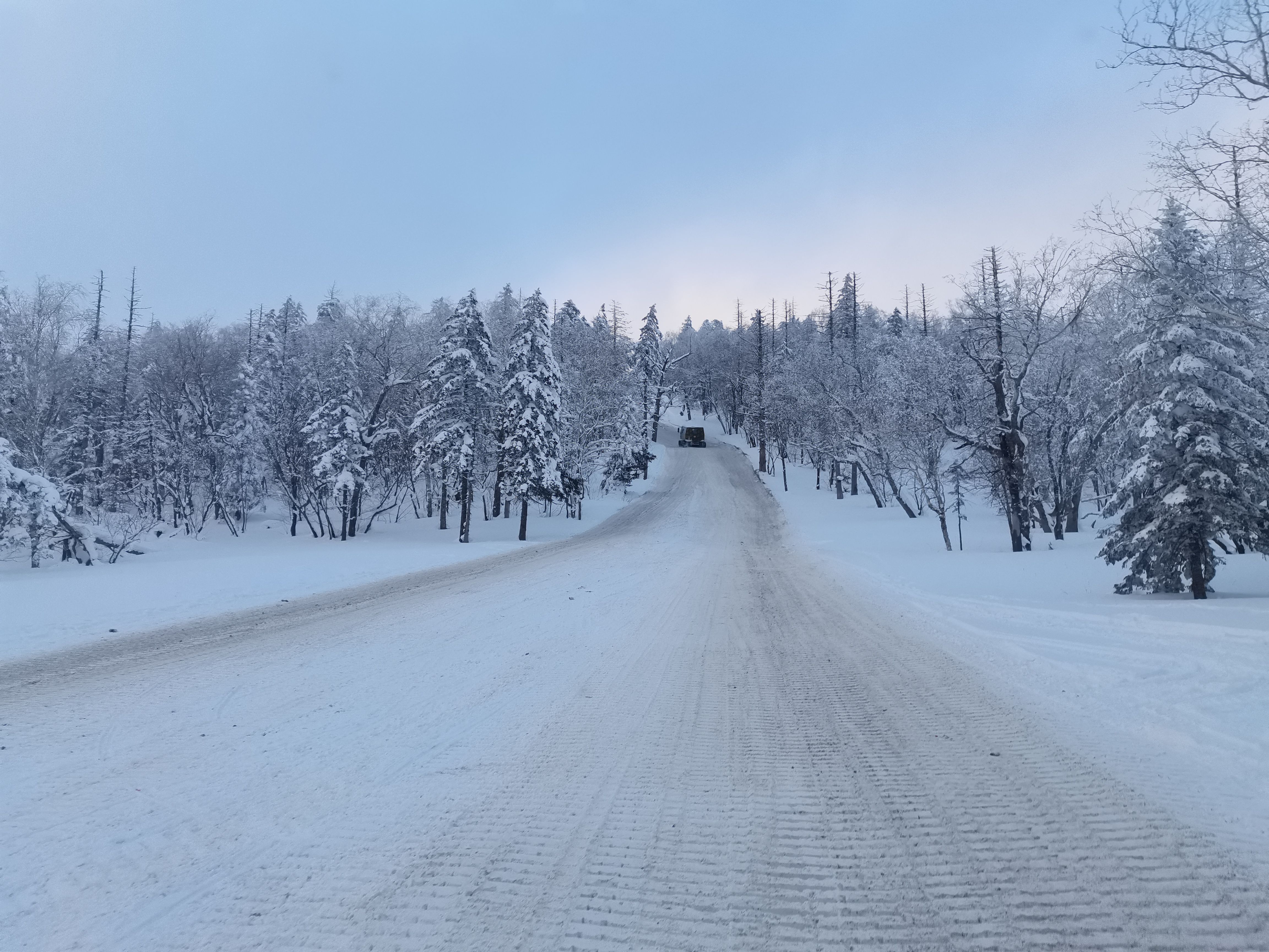 Snow-Covered Forest Road in Winter · Free Stock Photo