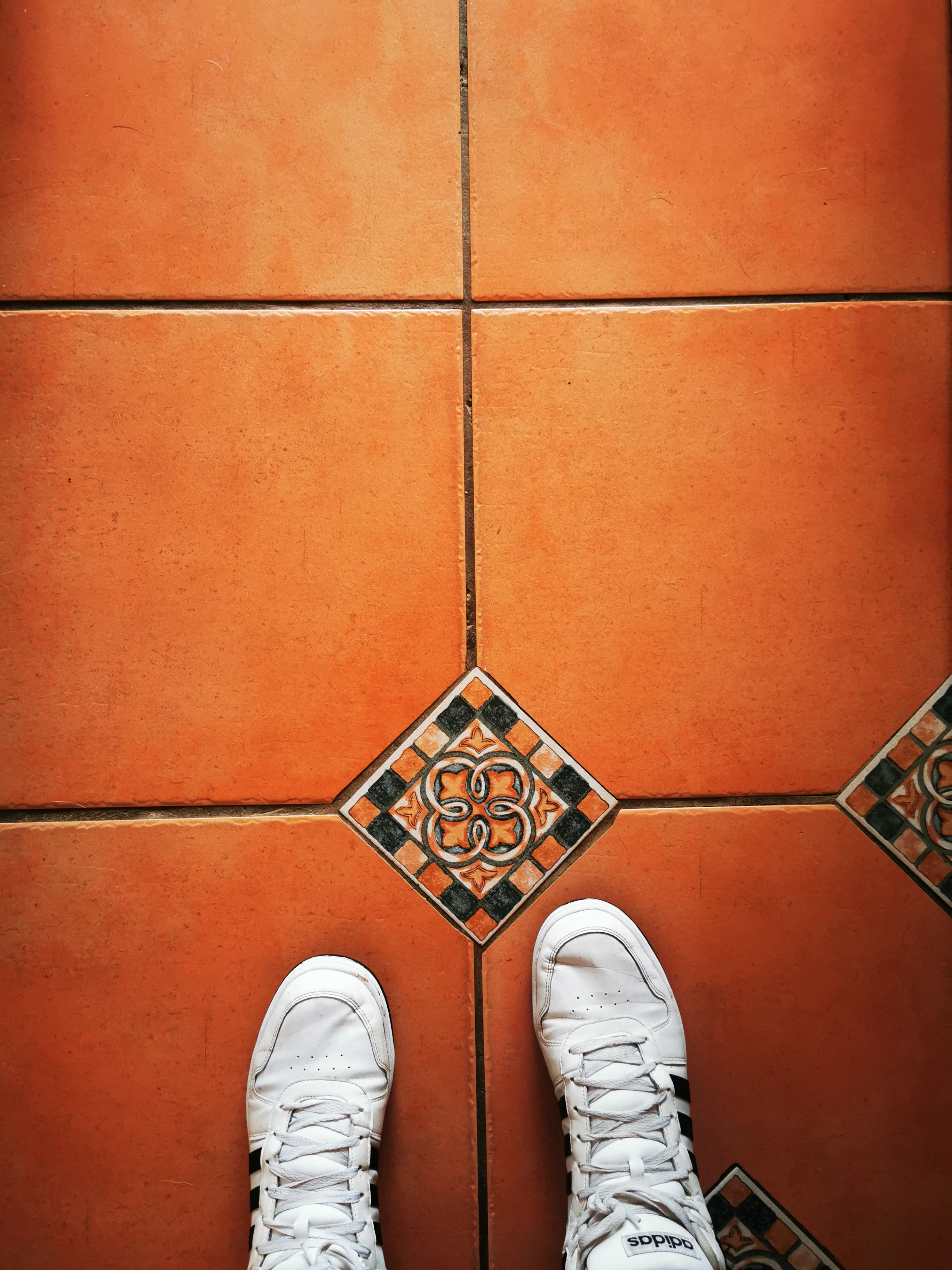 Italian Floor Tiles Photos, Download The BEST Free Italian Floor Tiles ...