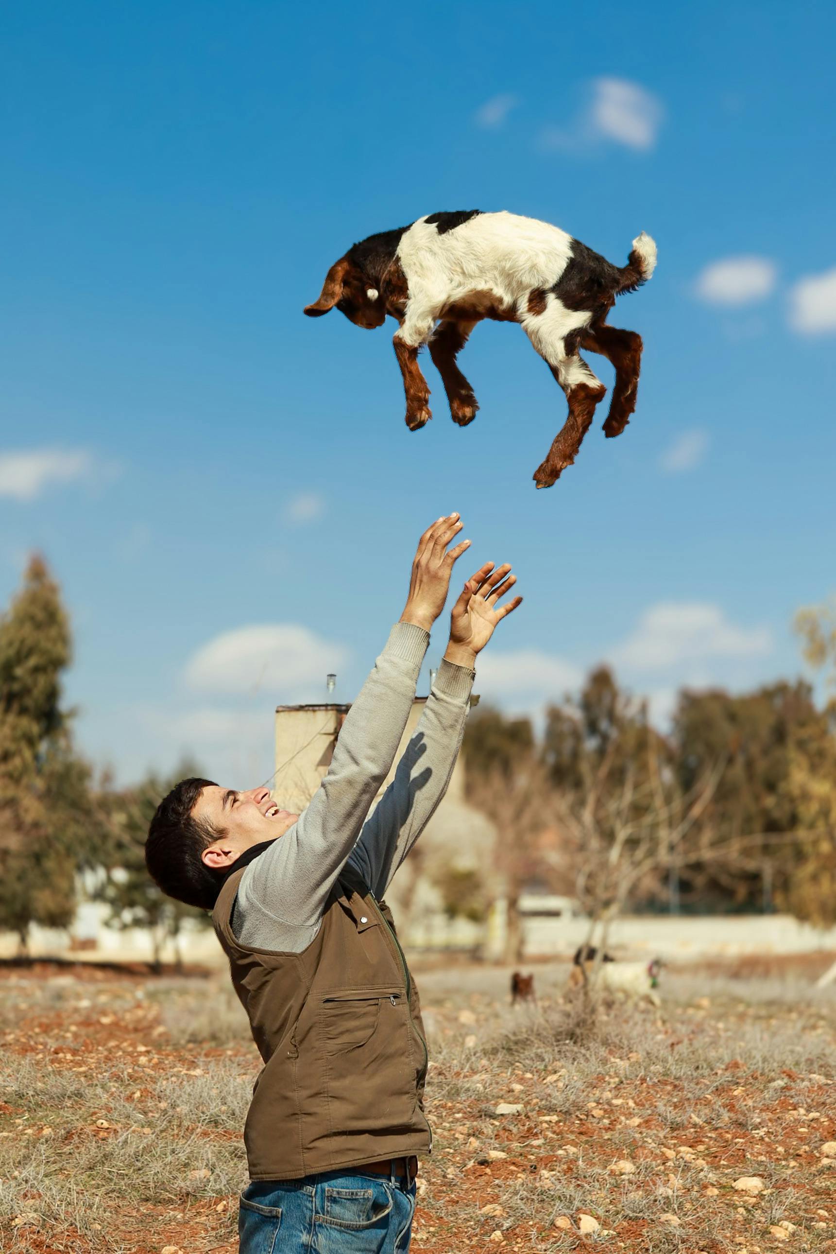 Man Tossing Baby Goat in Outdoor Setting · Free Stock Photo
