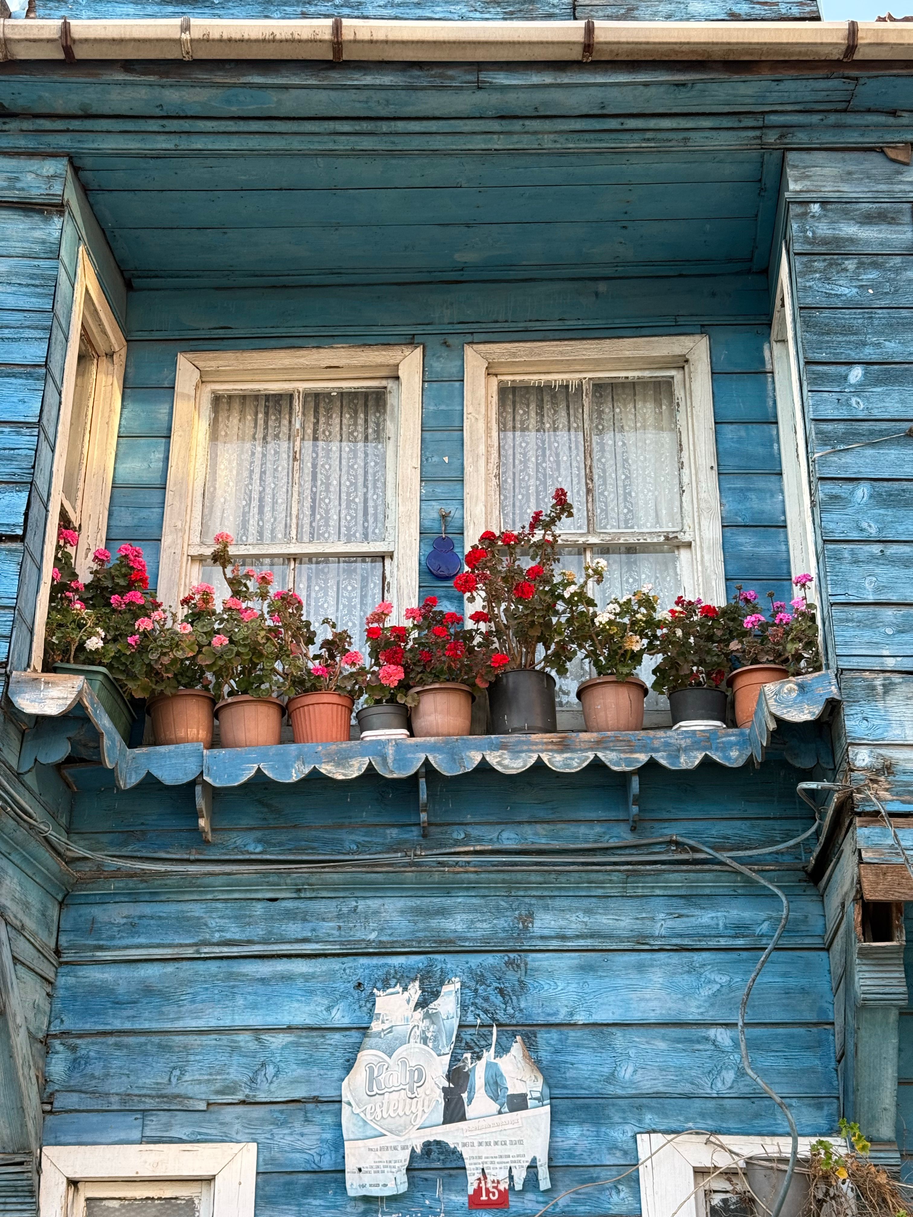 Something At My Window Lattice; Photos, Download The BEST Free ...