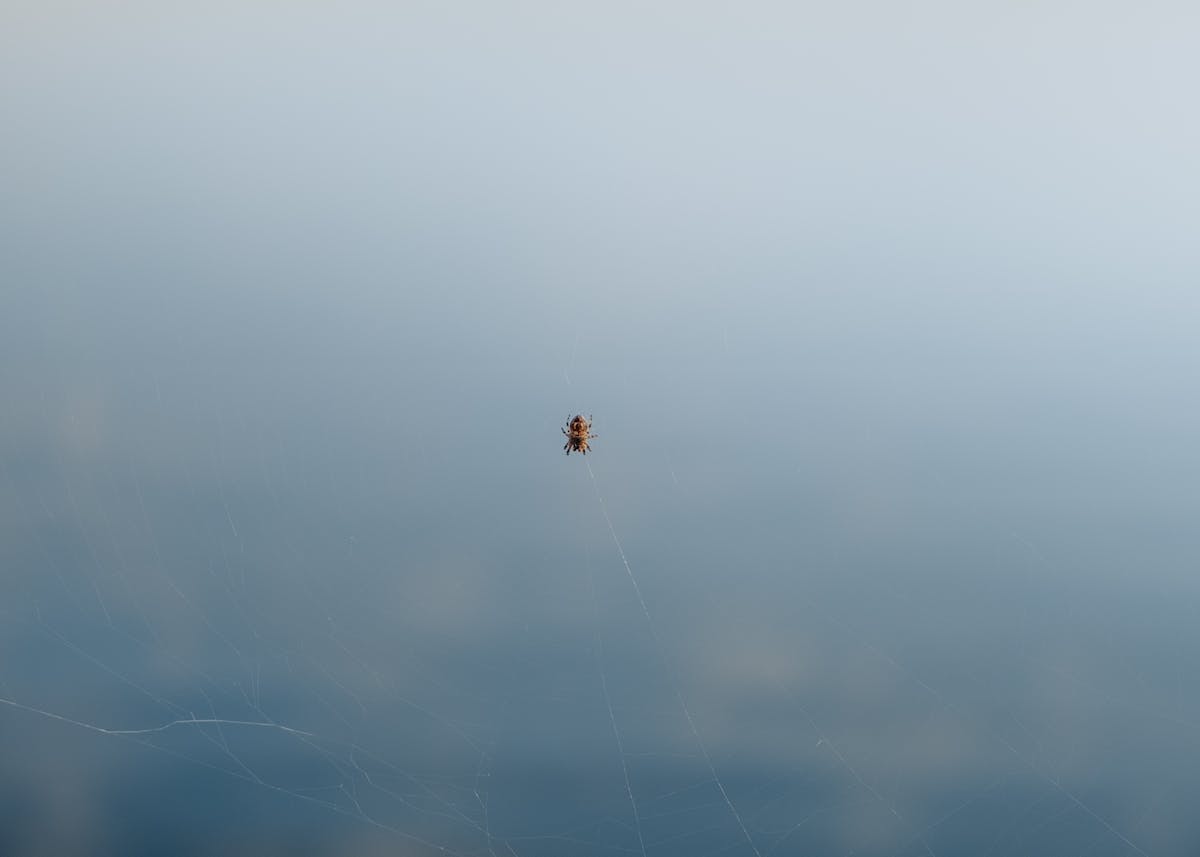 Web Page Background Photos, Download The BEST Free Web Page Background ...