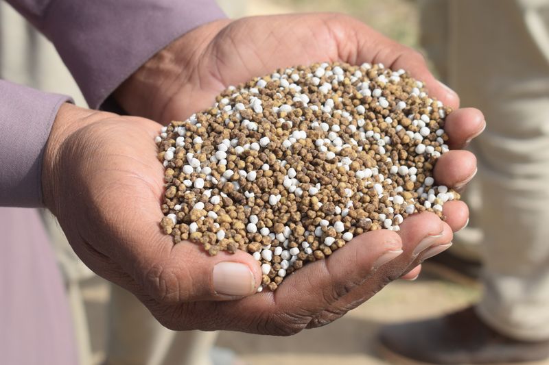 Fertilizer Photos, Download The BEST Free Fertilizer Stock Photos & HD ...