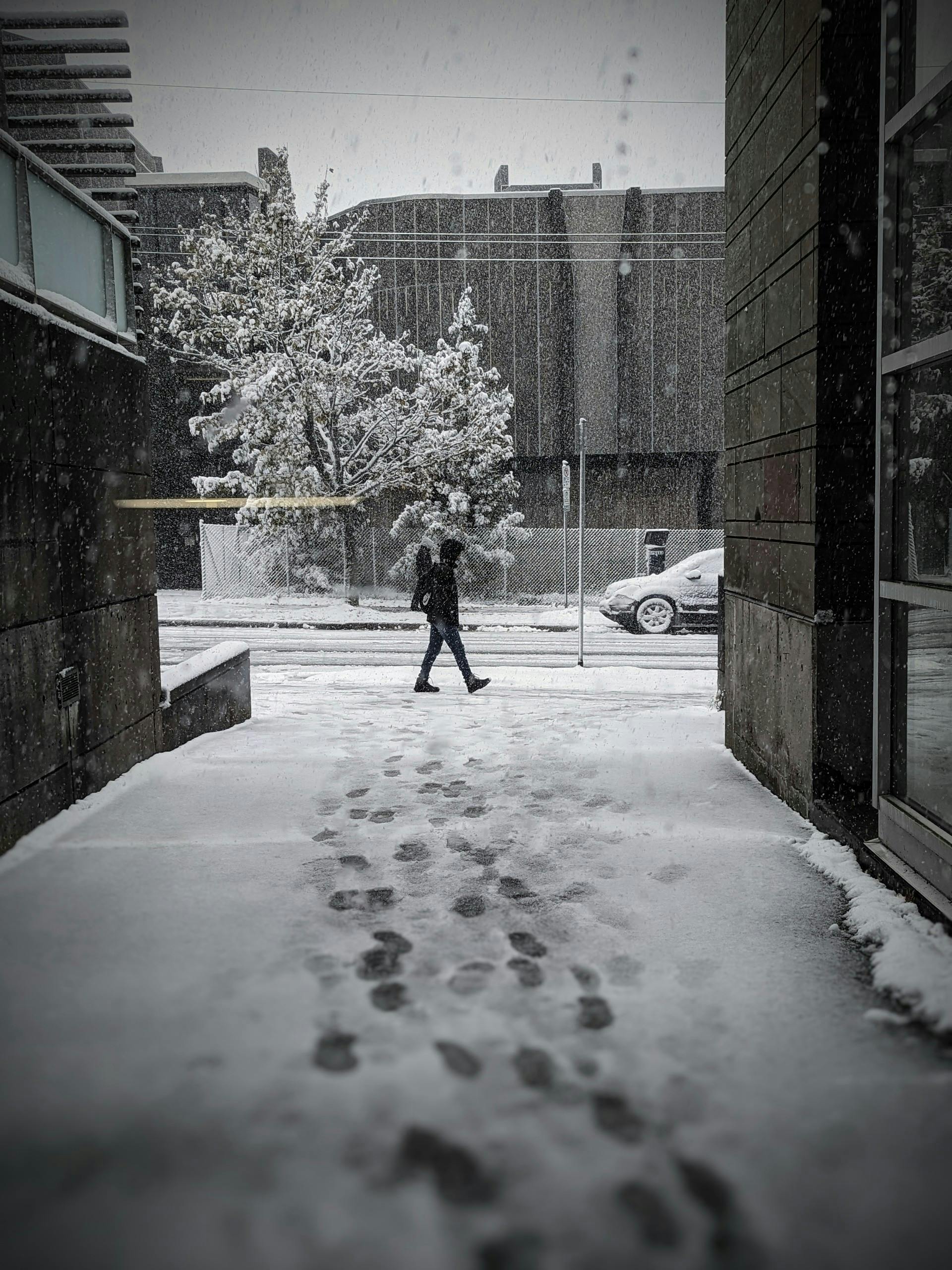 Footsteps Horror Photos, Download The BEST Free Footsteps Horror Stock ...