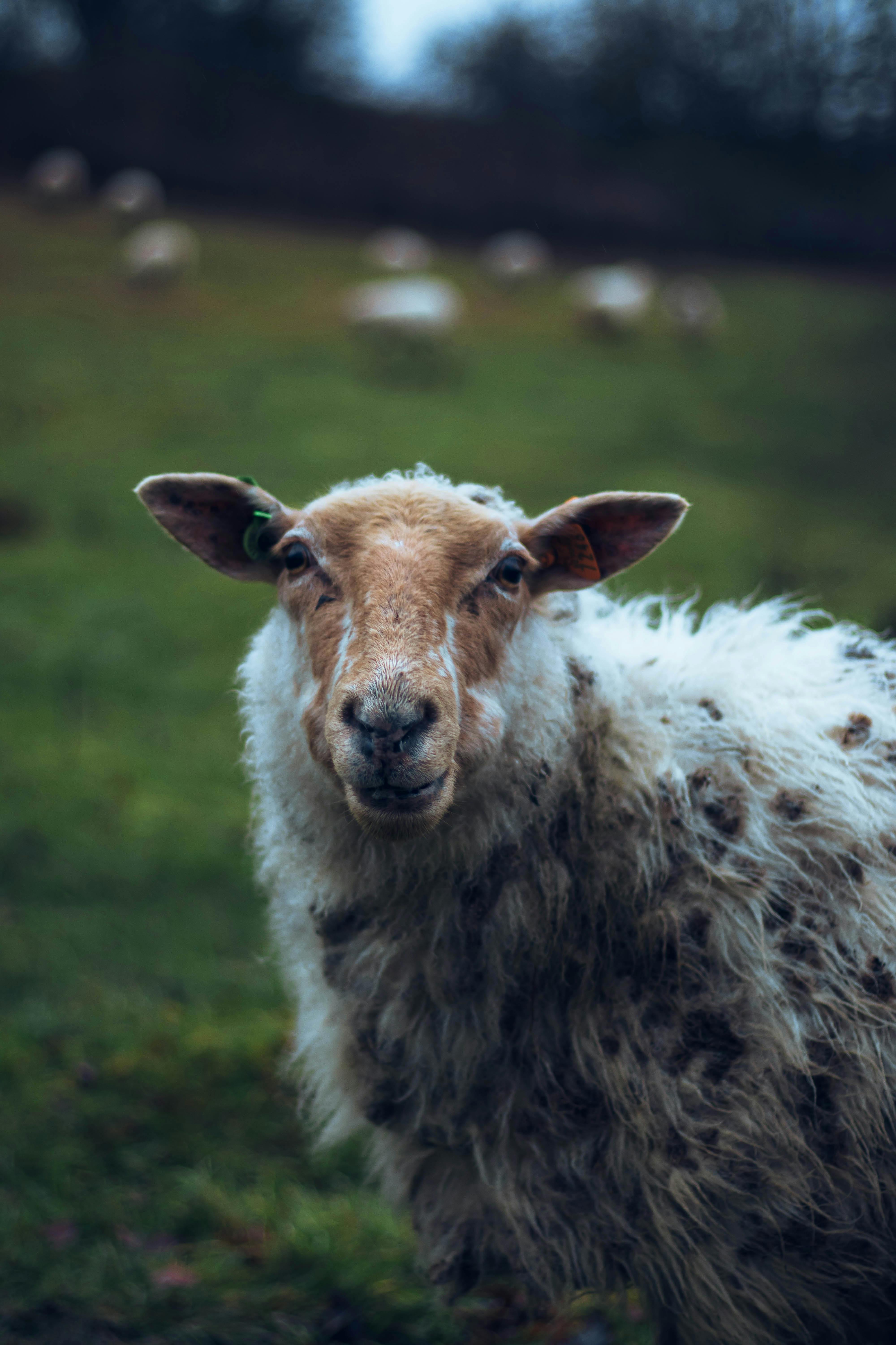 Really+Sus+Anime+Girls+No+Blur Photos, Download The BEST Free Really ...