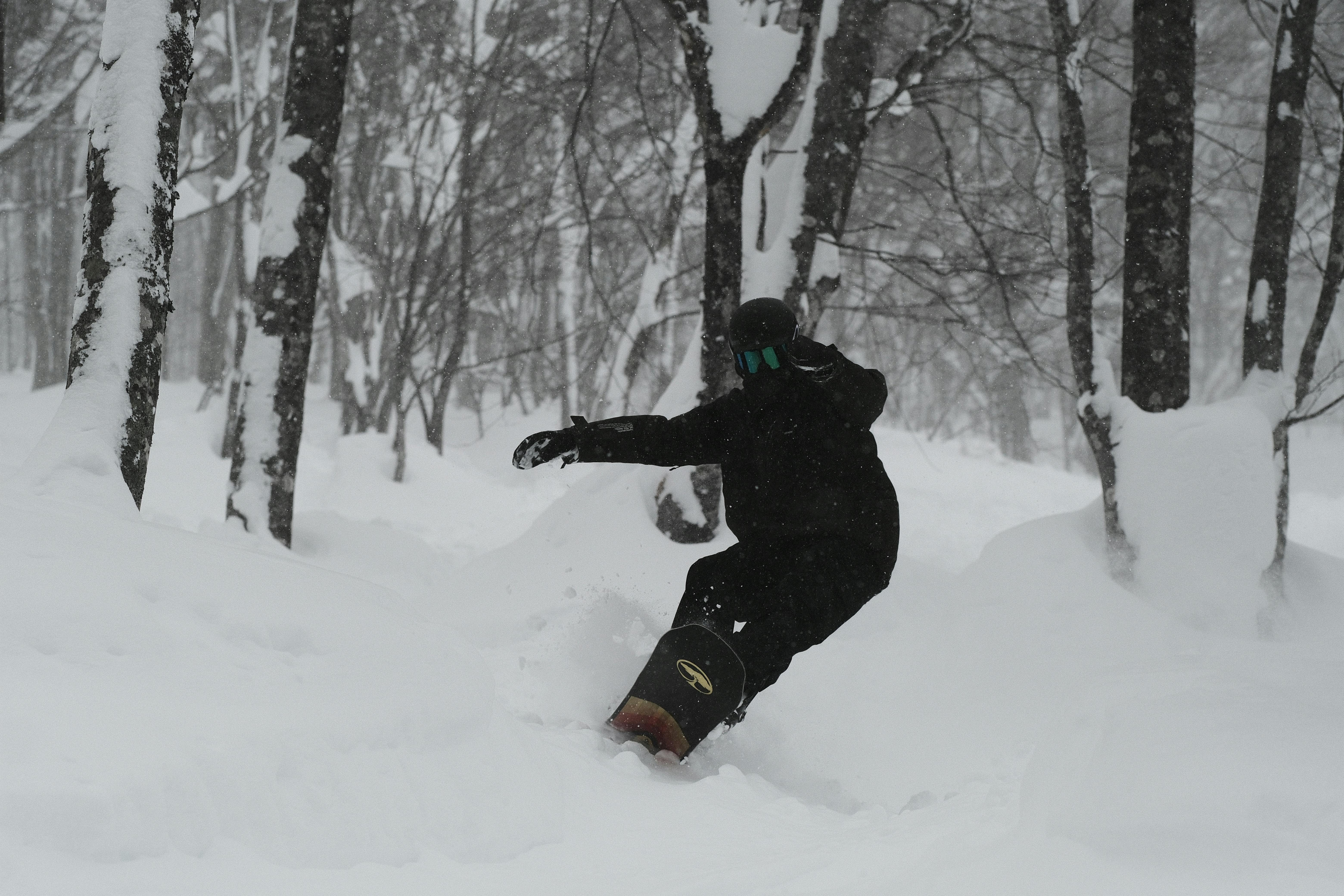 Snowboarder Navigating Japanese Powder Forest in Winter · Free Stock Photo