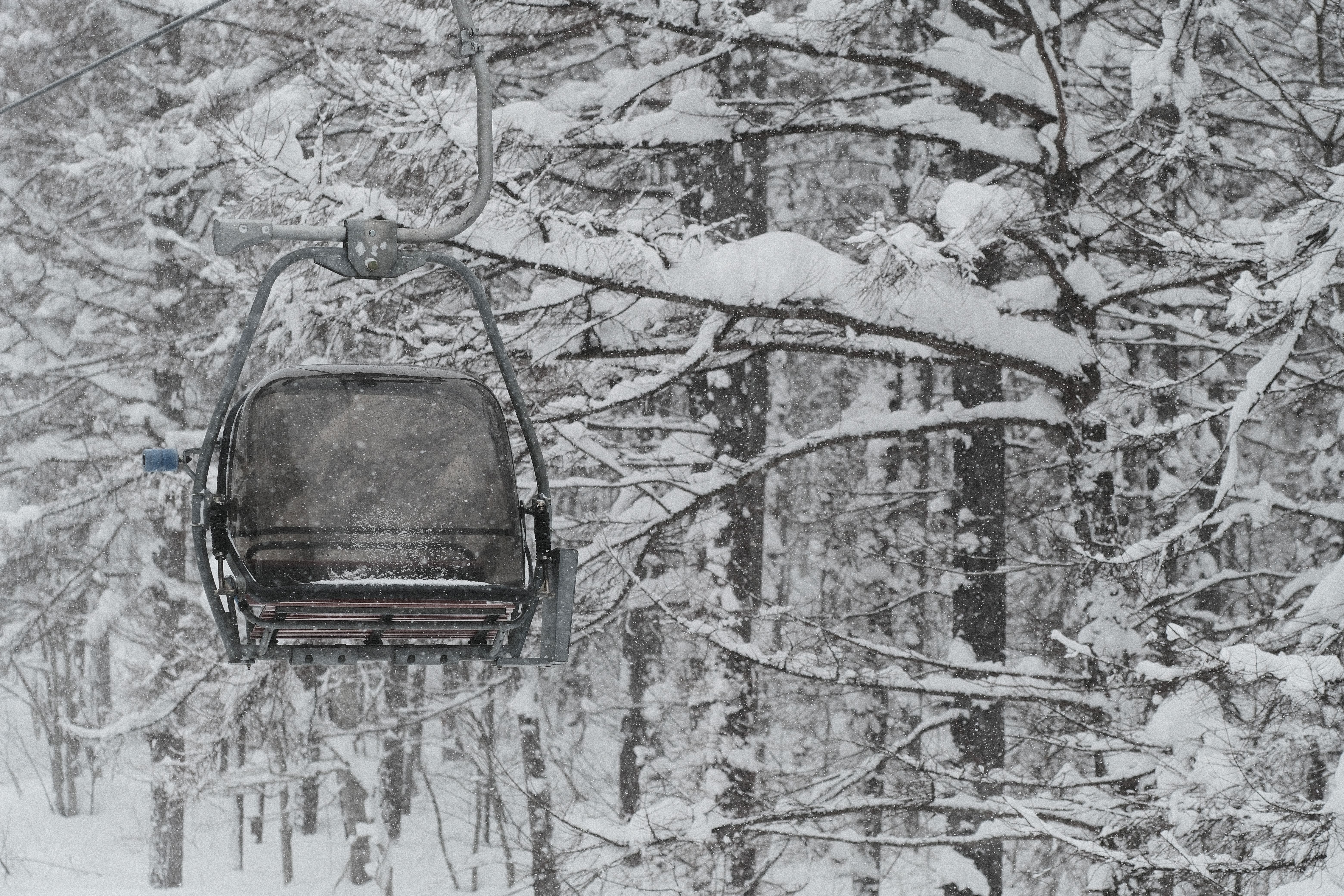 Snowing Hard Skiing Photos, Download The BEST Free Snowing Hard Skiing ...