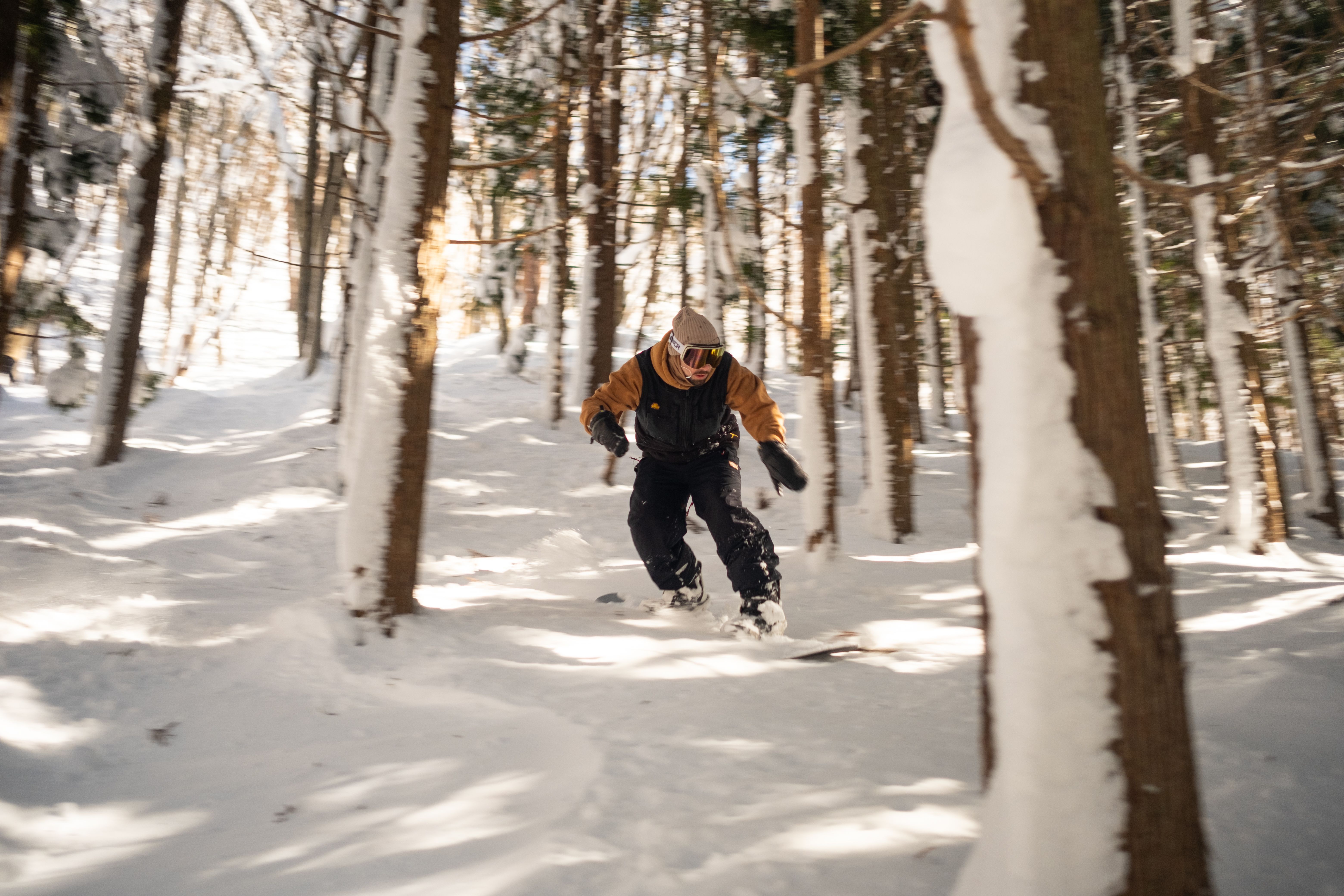 Dynamic Snowboarder in Japanese Winter Forest · Free Stock Photo