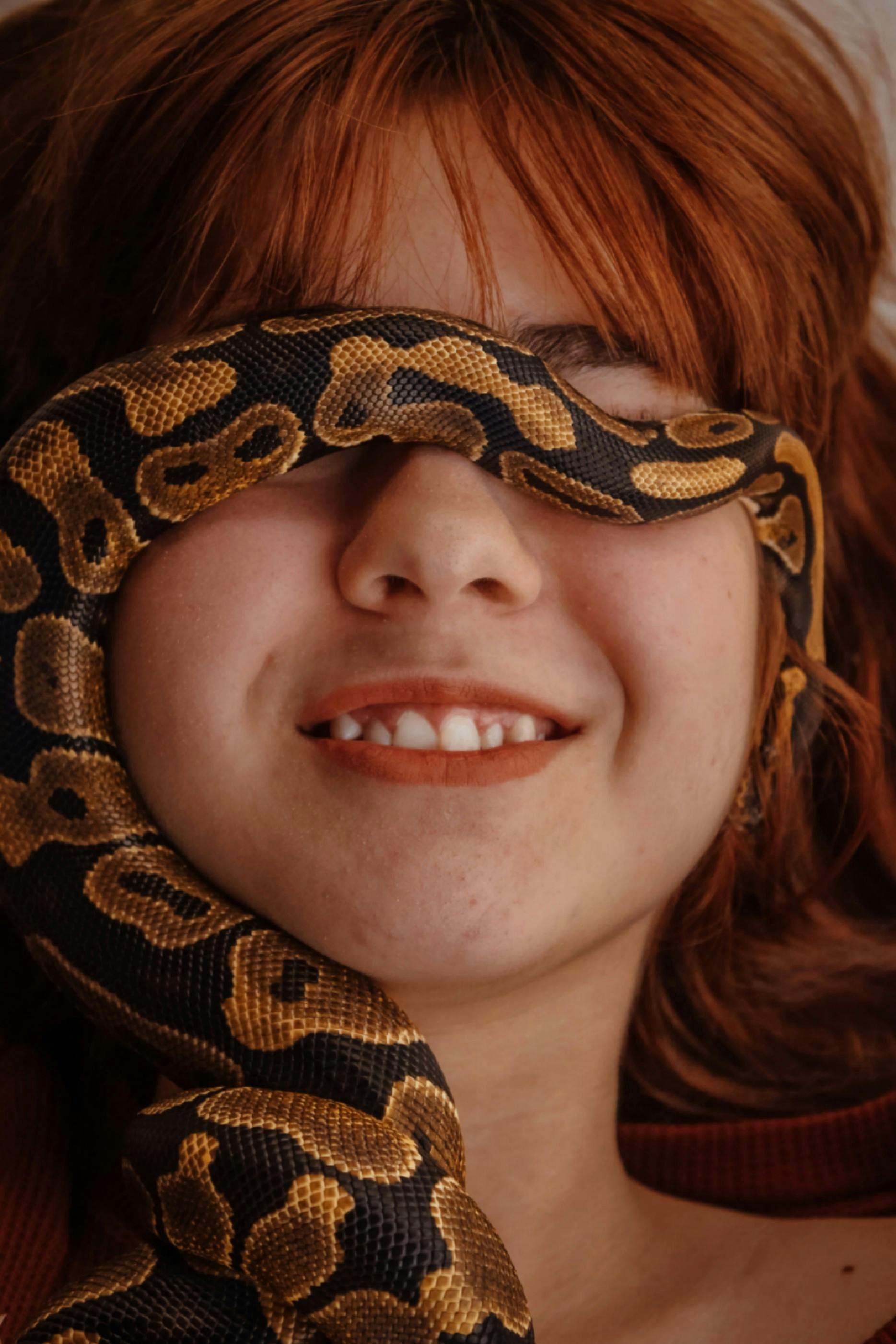 600+ Best Python Snake Photos · 100% Free Download · Pexels Stock Photos